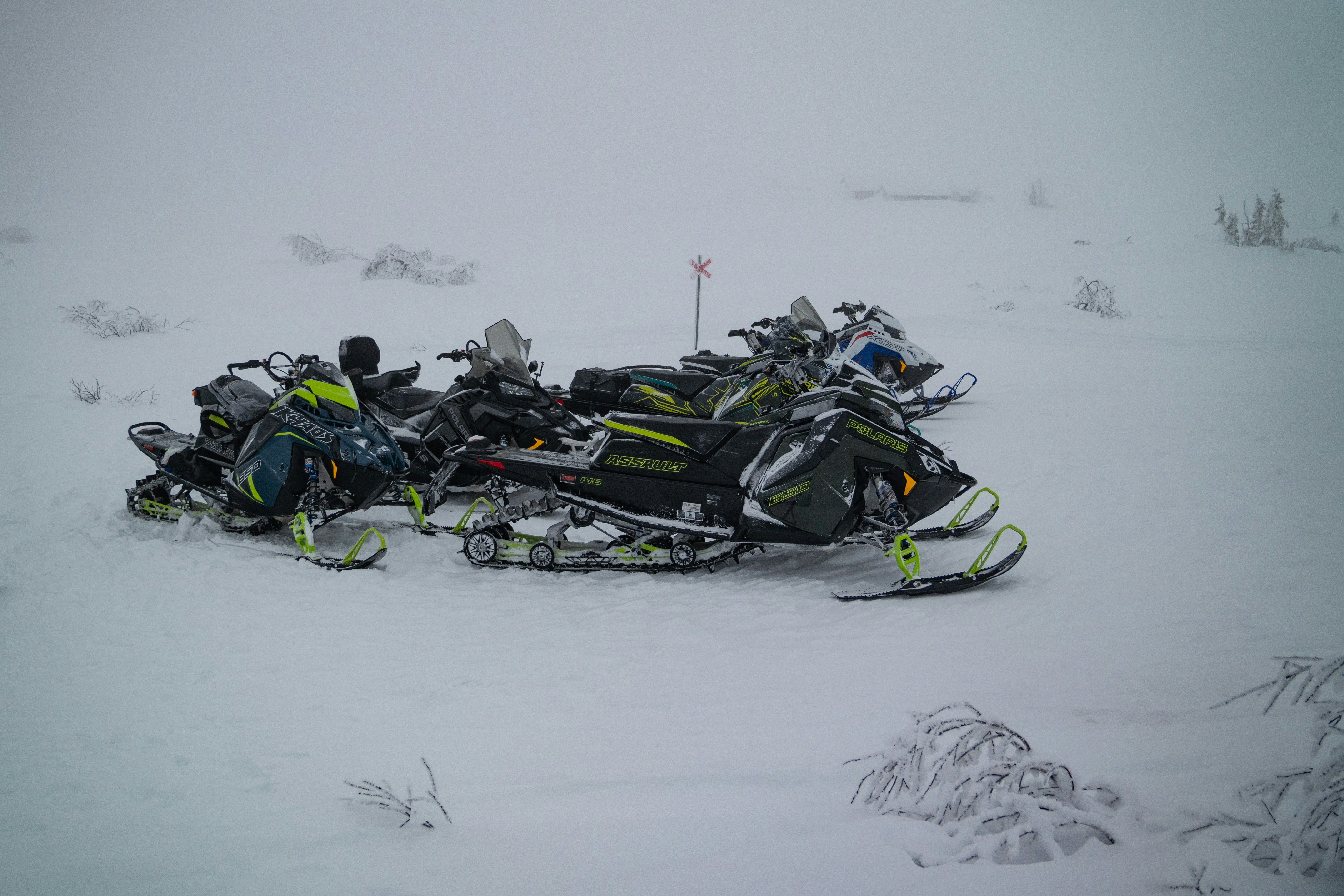 A group of snowmobiles that are in the snow photo – Free Fulufjällets ...