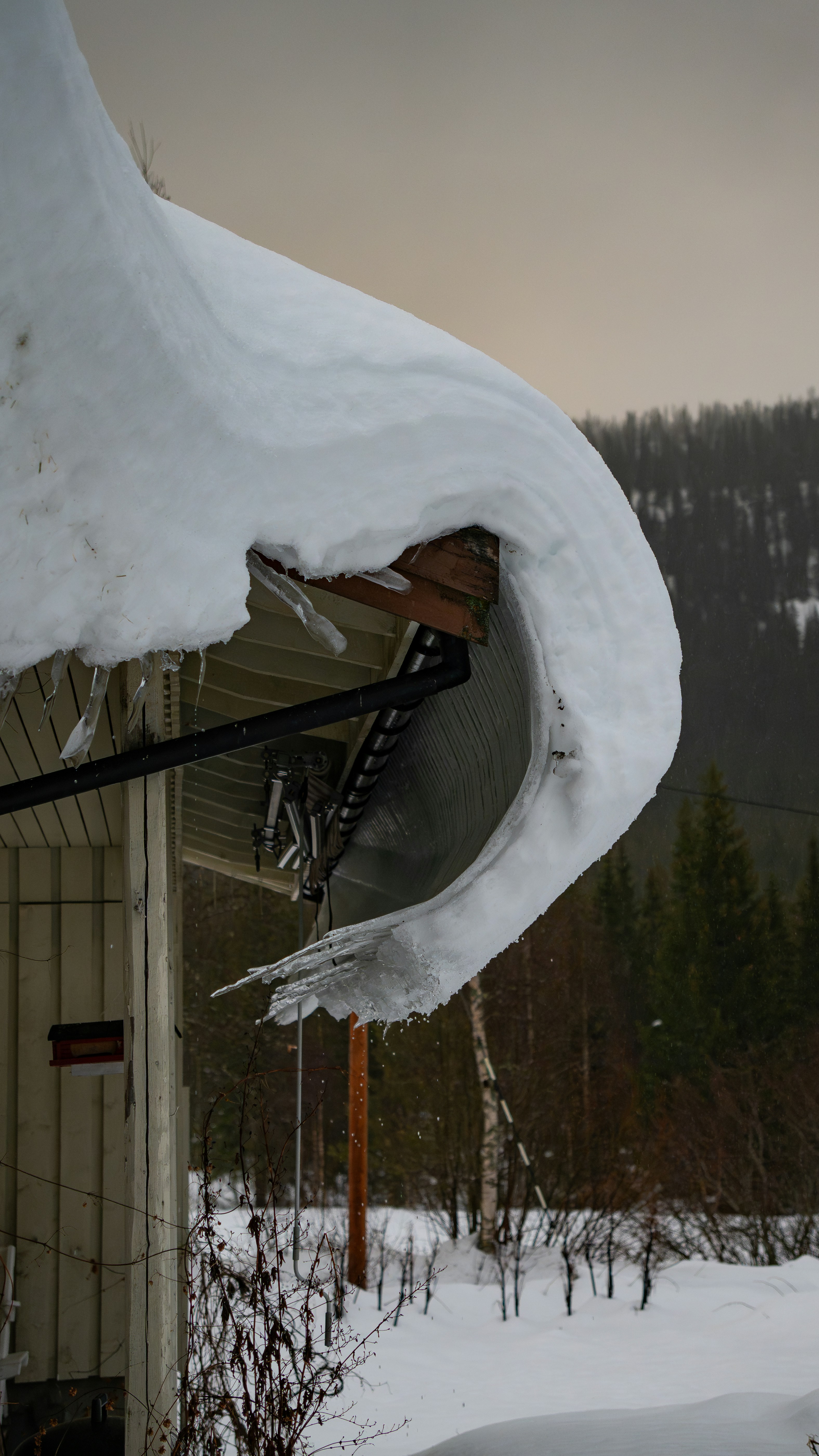 Snow-Edge Curl: The Weathered Shed Beneath a Winter Overhang