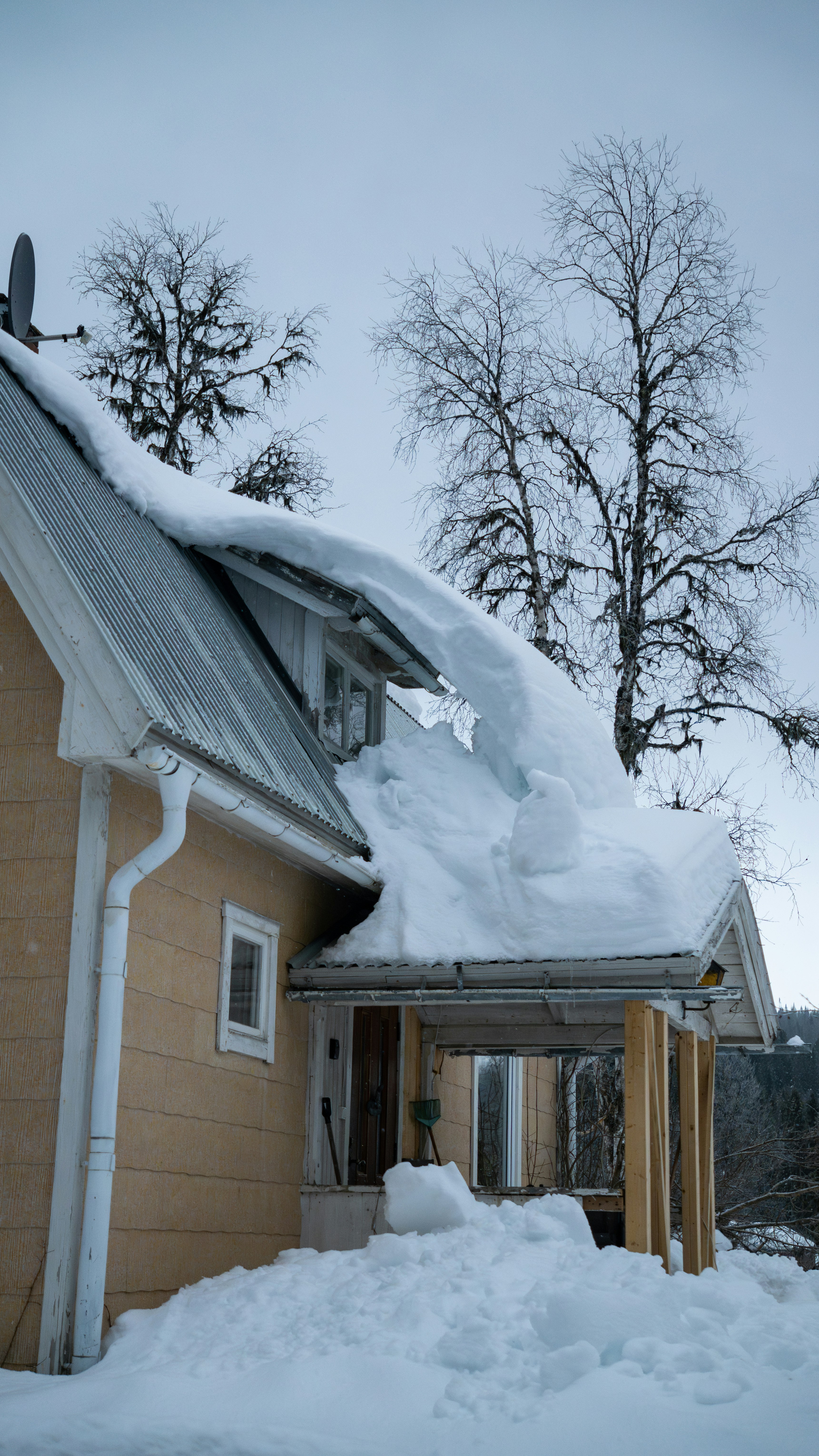 Photo by Fridi Antrack with Sony Alpha 6700