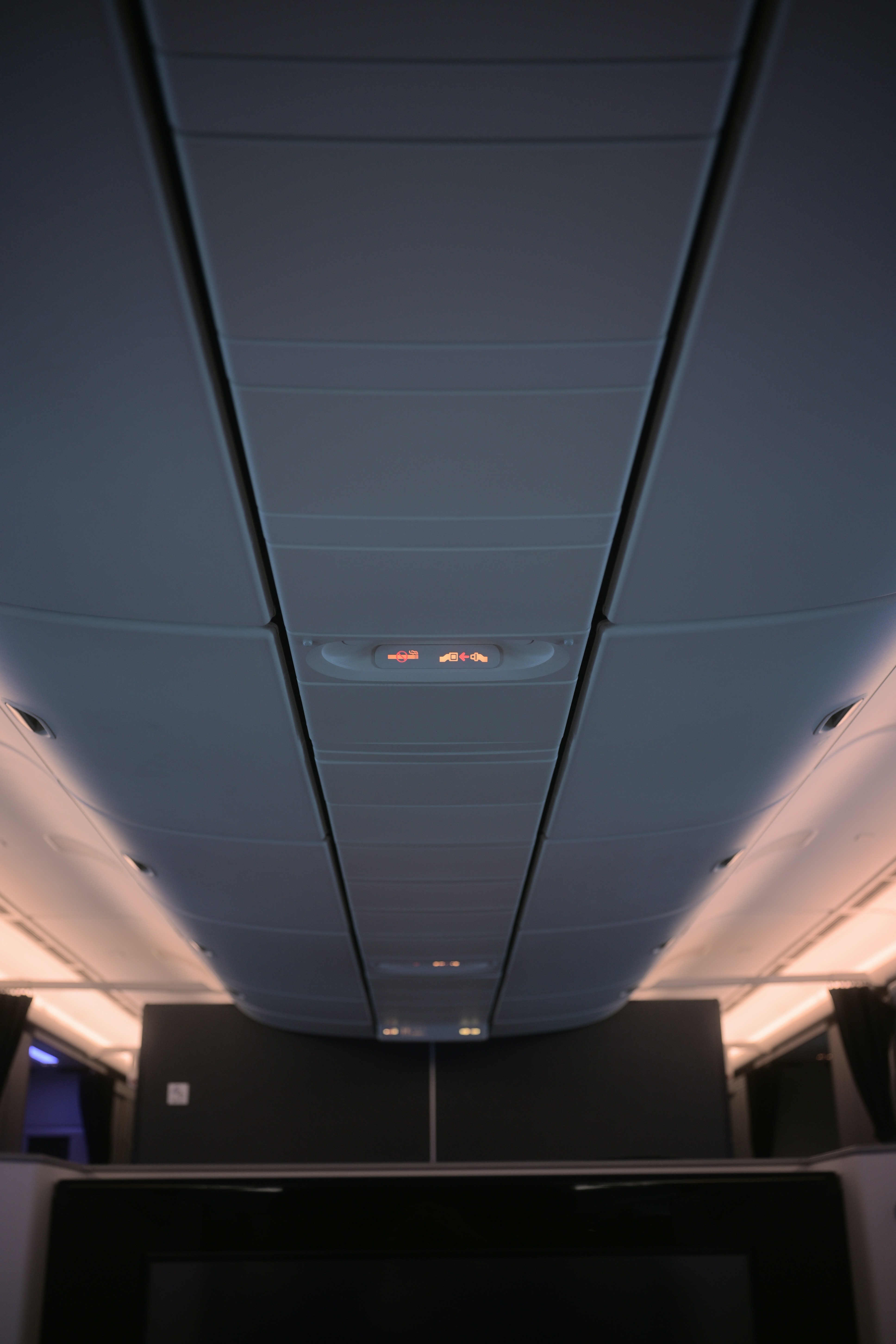 Converging Ceilings: Aisle-View into the Cabin