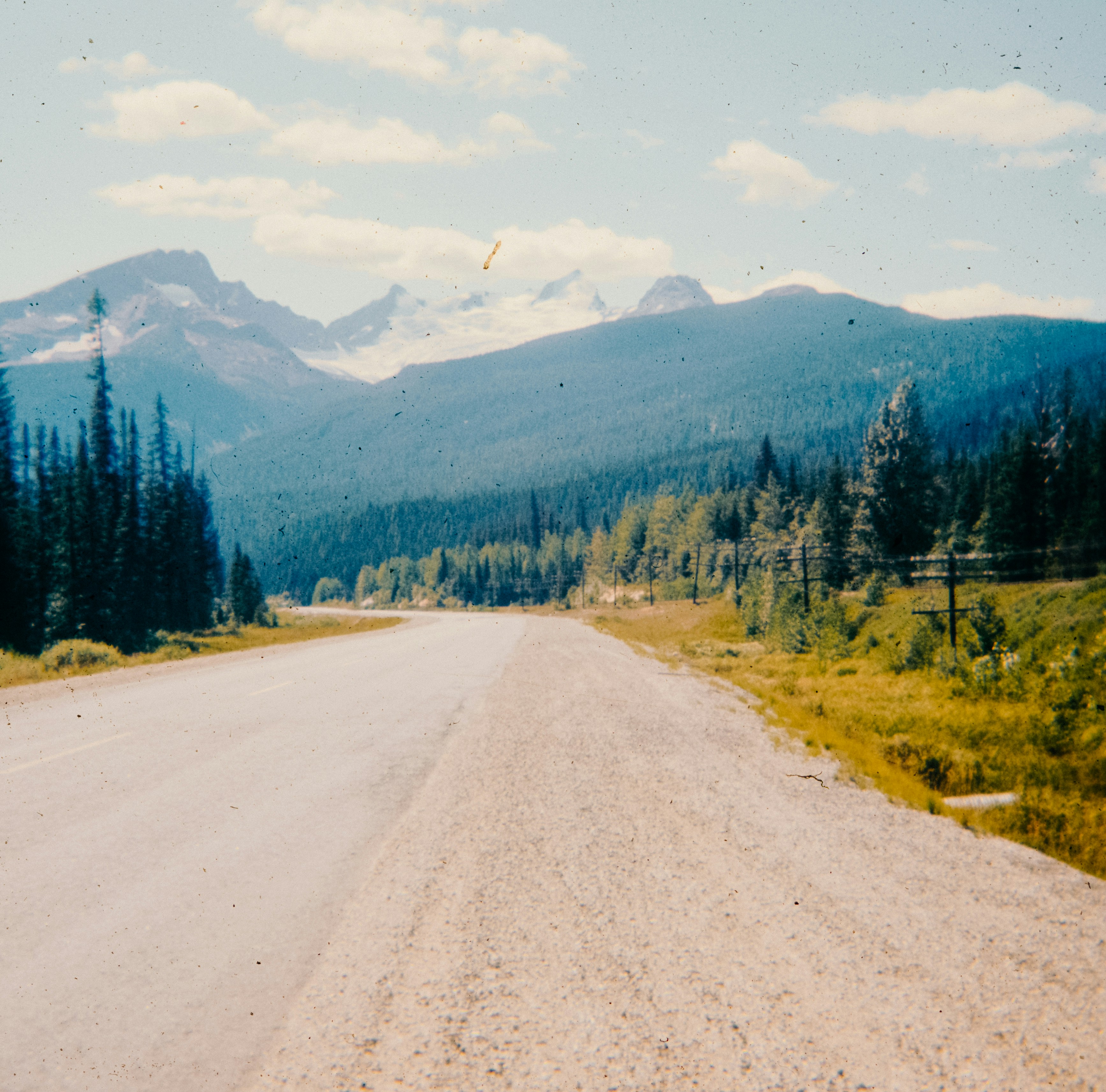 A dirt road surrounded by trees and mountains photo – Free Highway ...