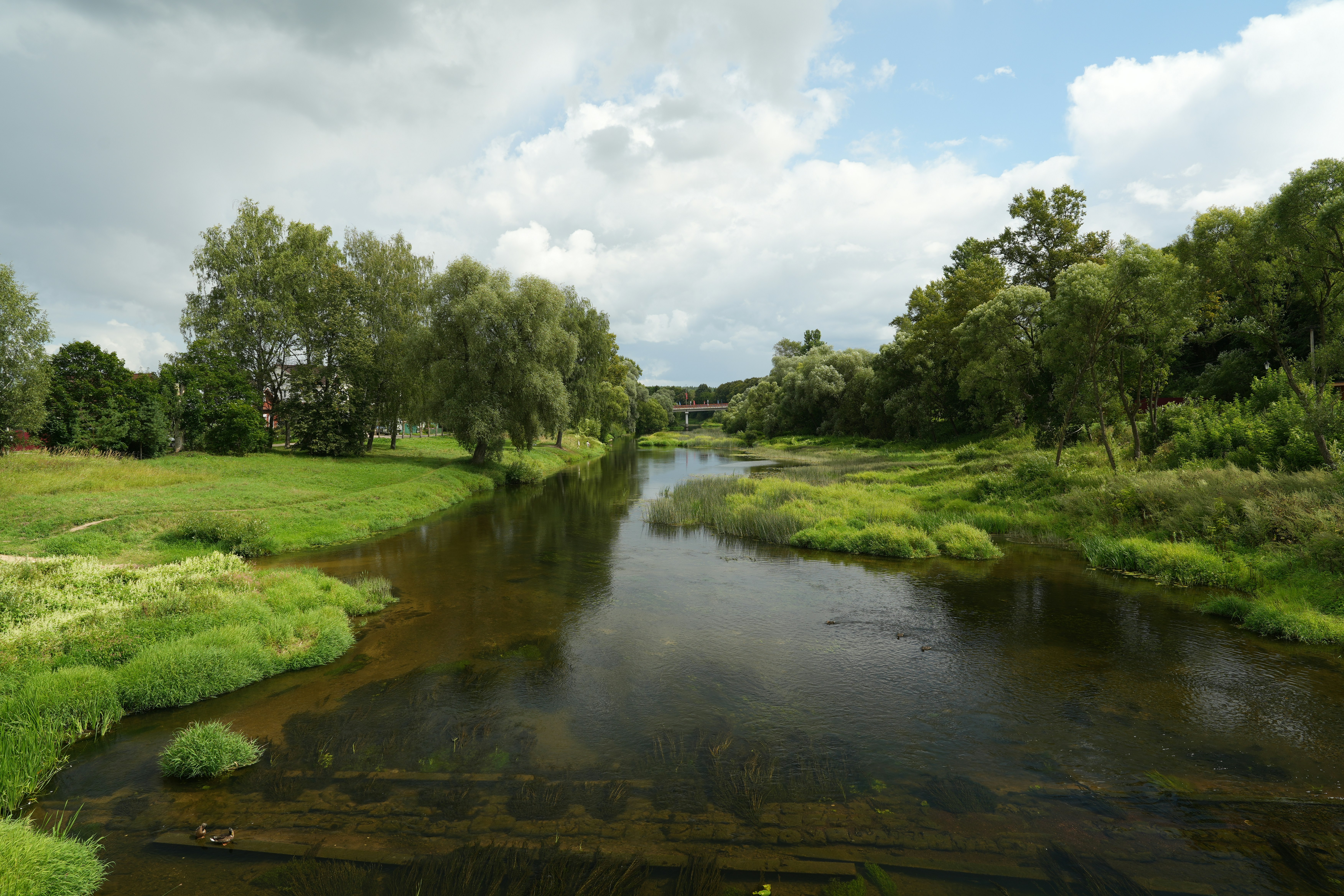 A peaceful river winds through verdant countryside, bordered by lush trees under a cloudy sky.