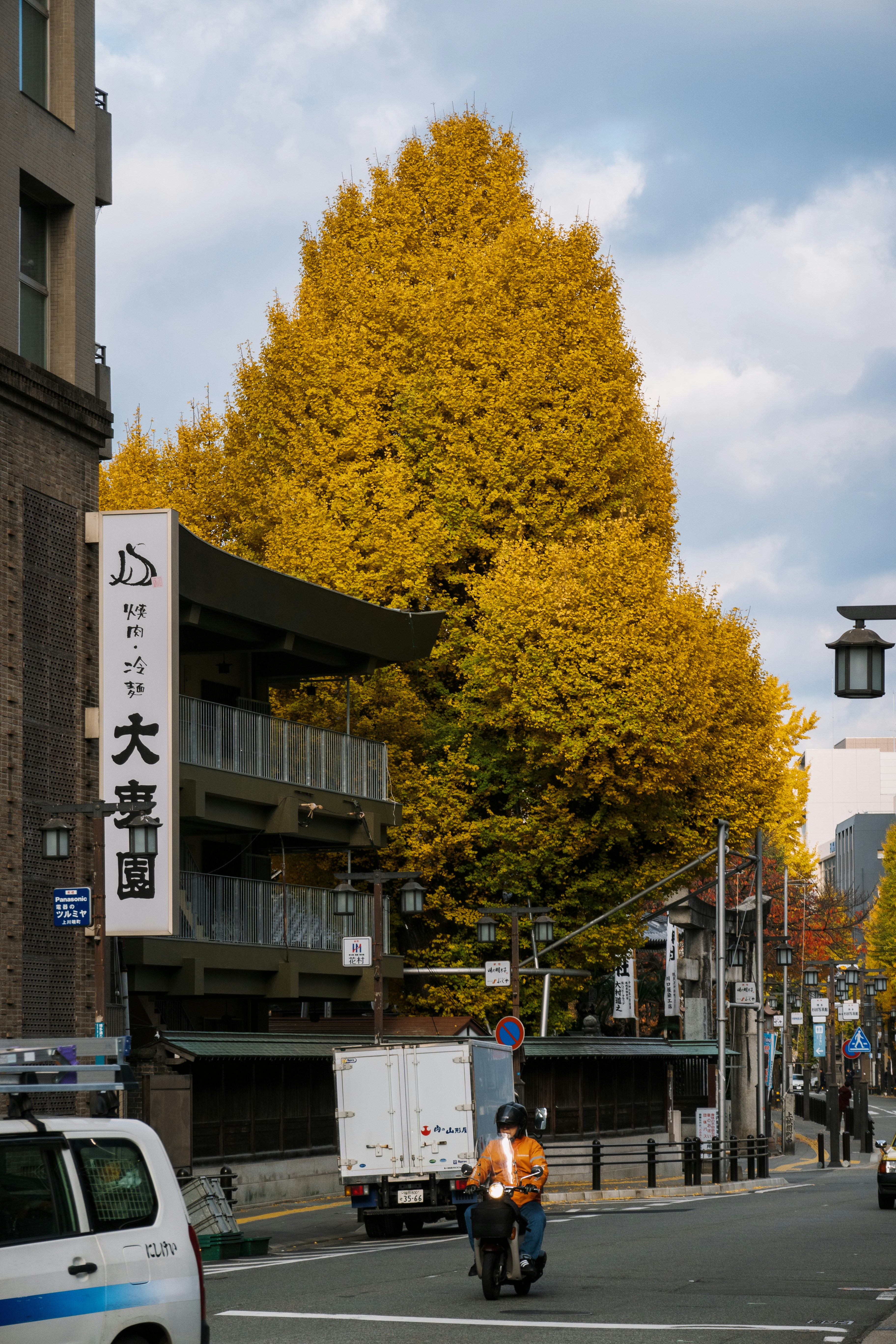 Amber Canopy Over the Street: A Moving Moment Under Autumn Light
