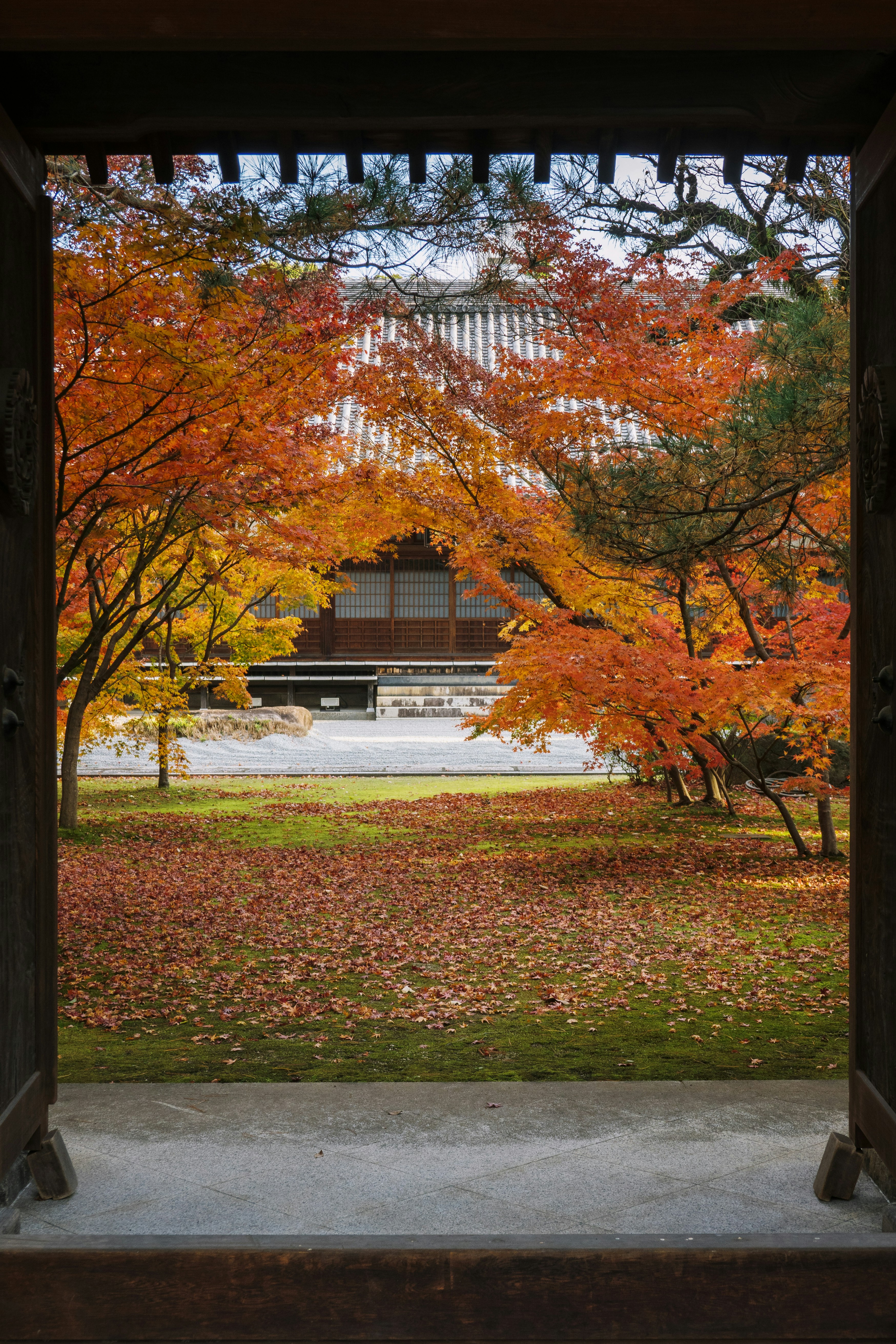 Crimson Canopy Framing a Quiet Shrine