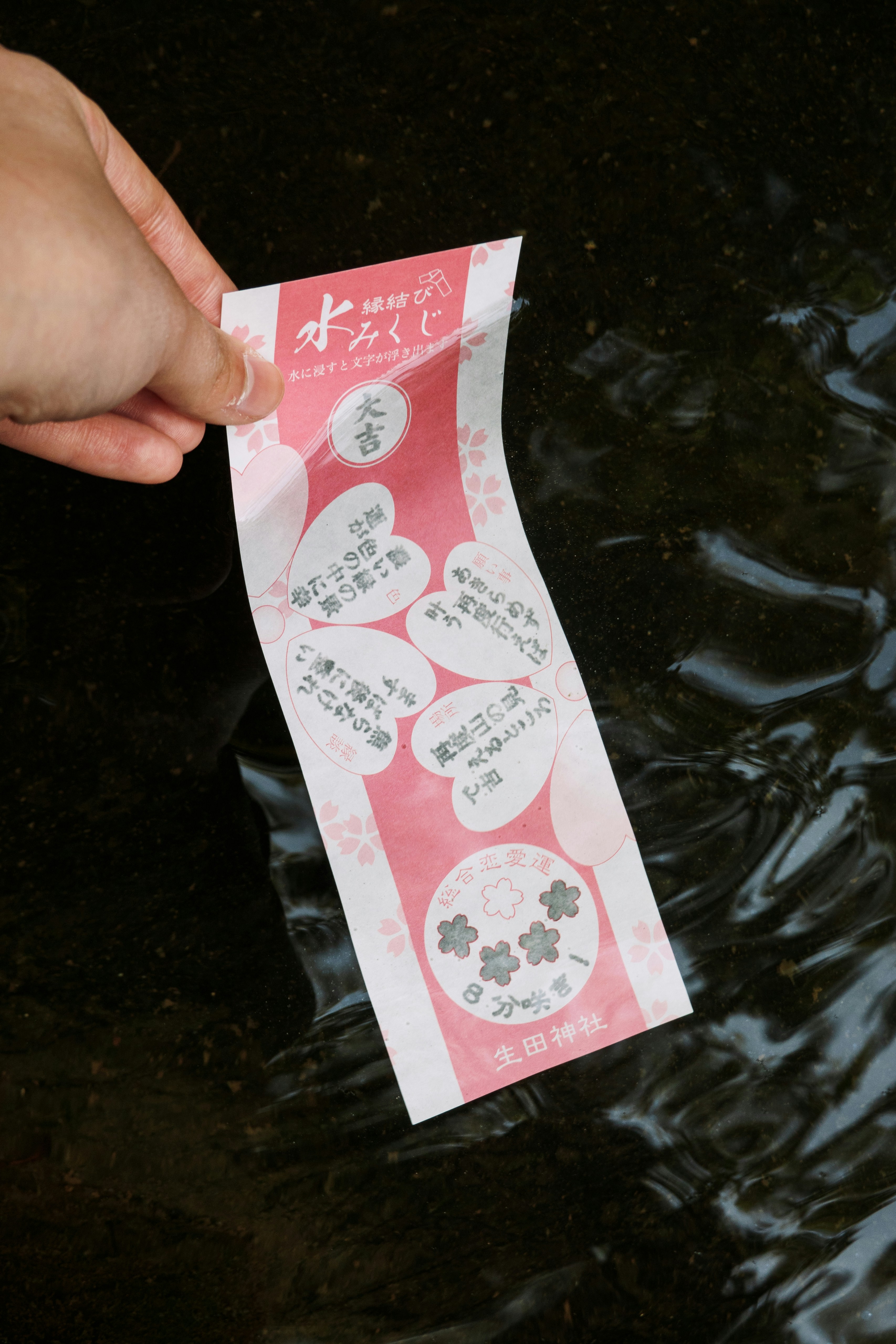 Pink Omikuji Over Dark Water: A Hand-Held Lottery Slip
