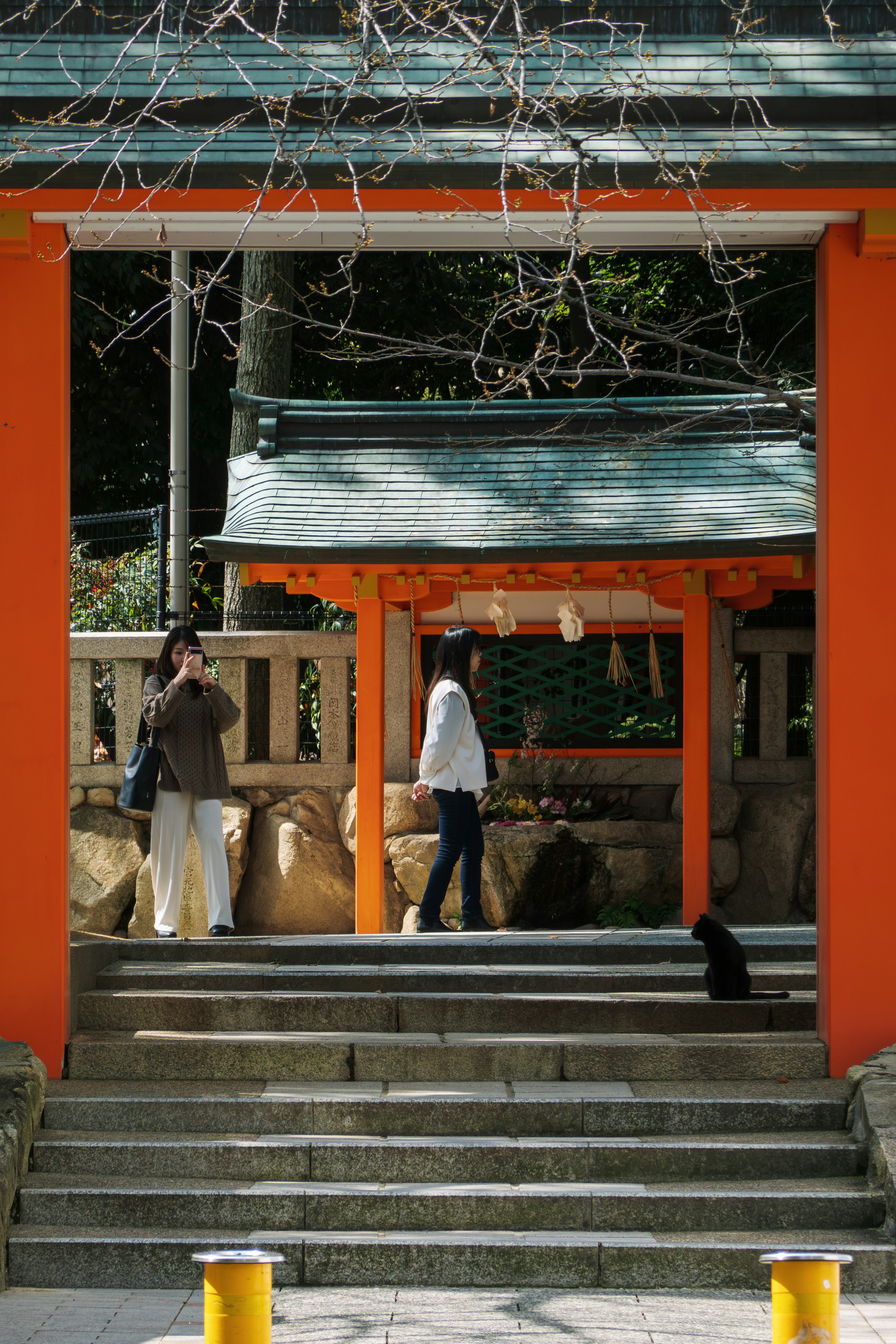 Vermilion Gate, Quiet Motion: A Visitor Walks Through Shrine Steps