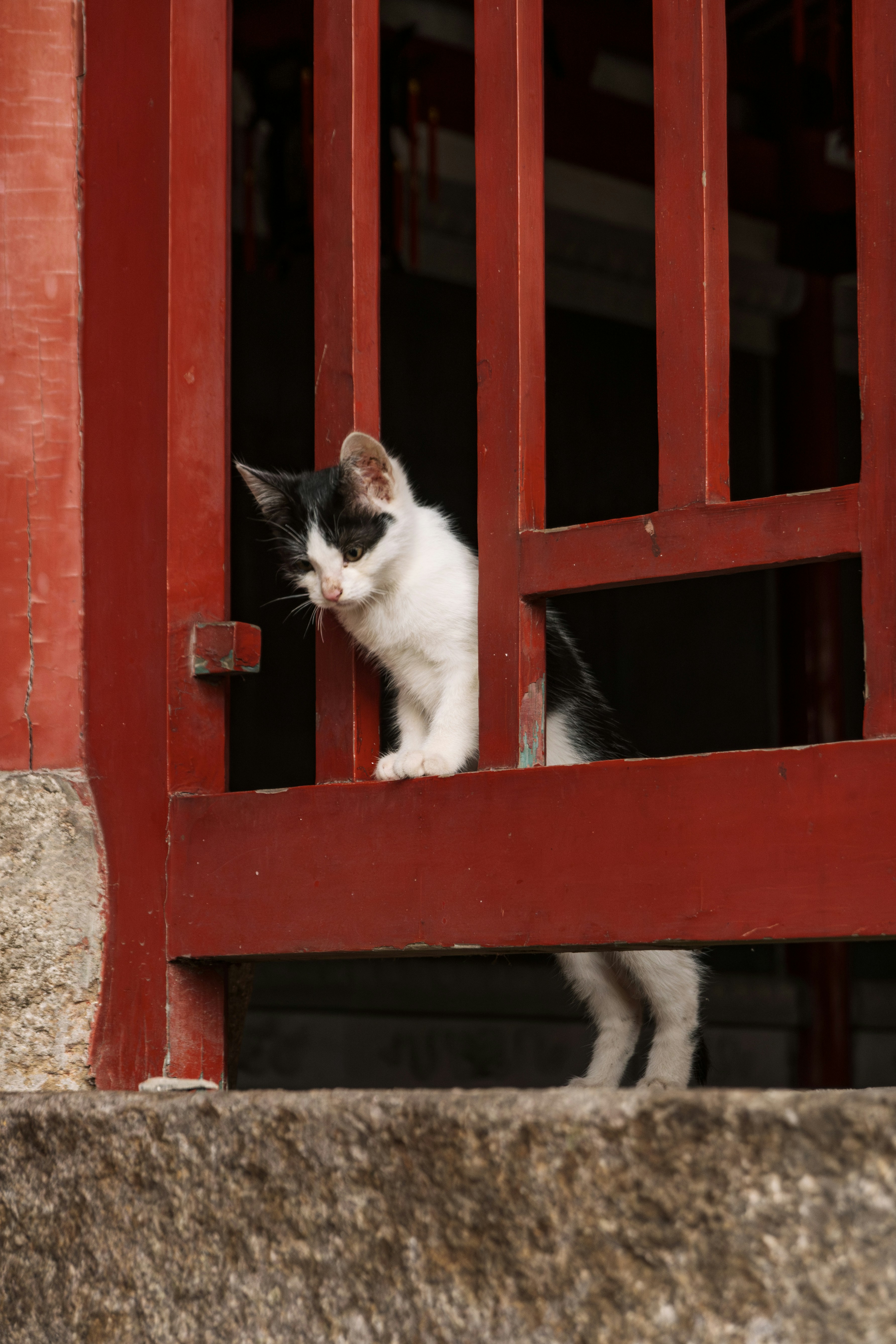 Photo by CHEN HENG with Sony Cyber-shot RX100 VI