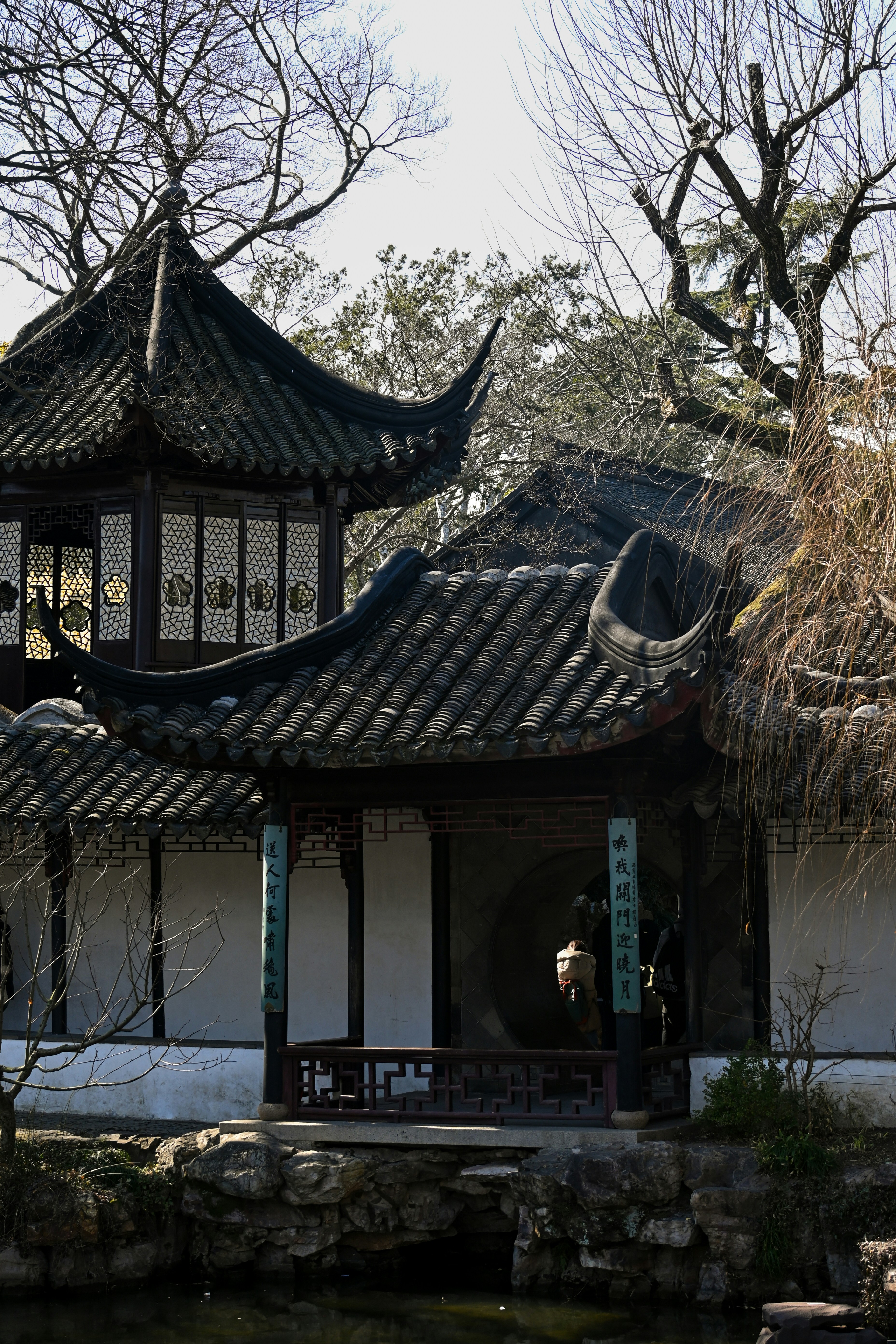 Photo by Yi Zhong with Nikon Z50