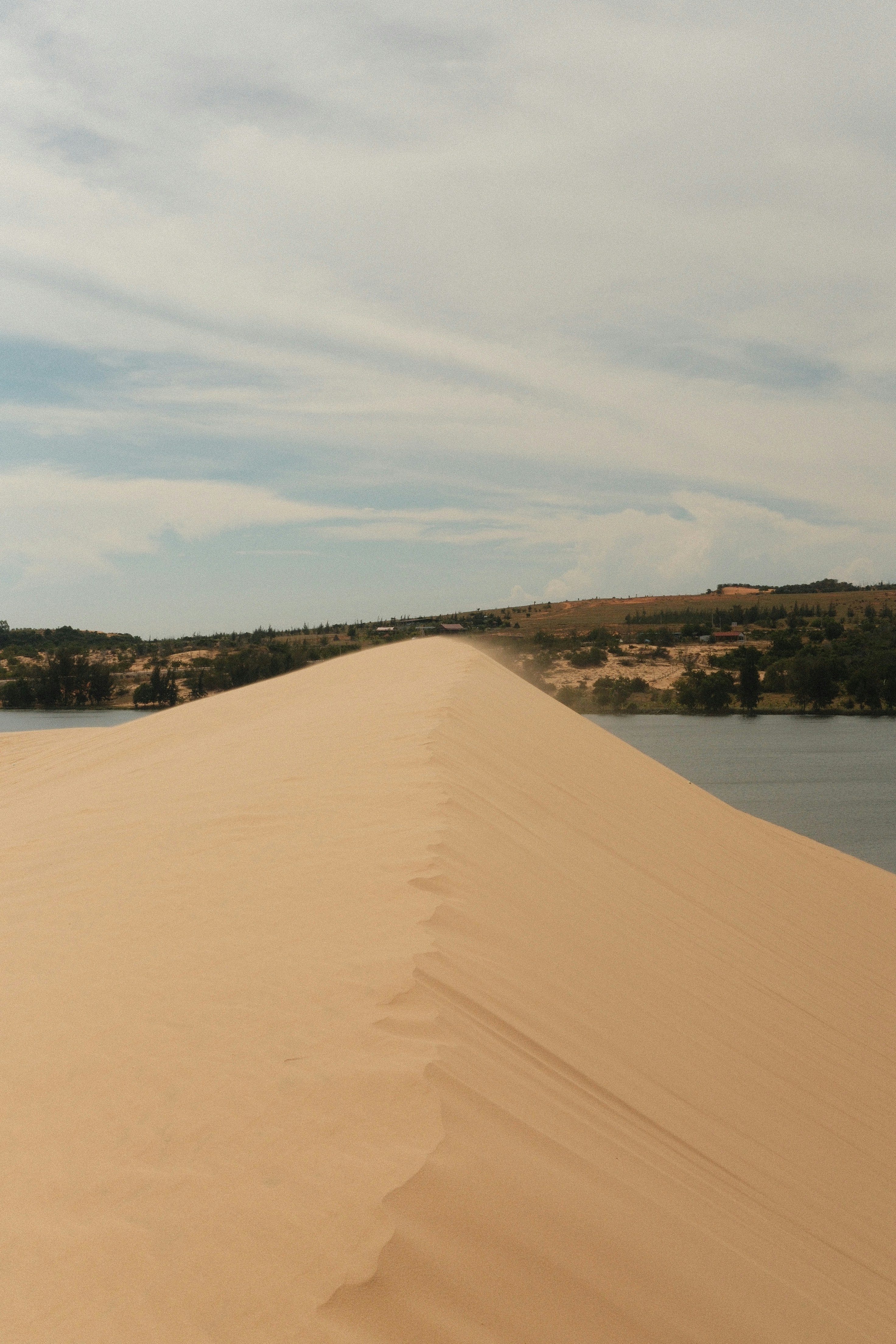 The Sand Spine Crossing a Quiet Riverside