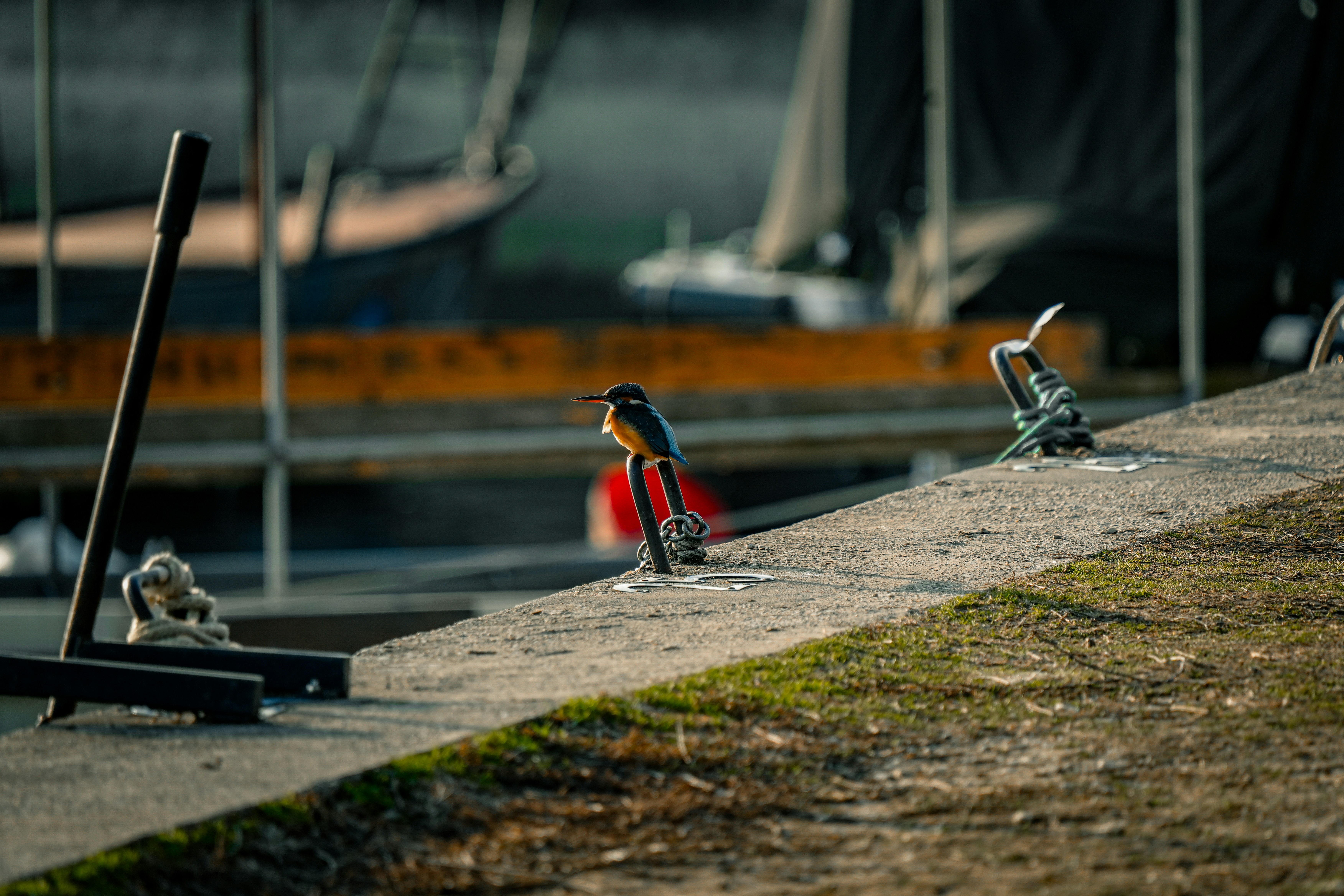 Photo by Nikola  Tomašić with Sony Alpha 7 IV