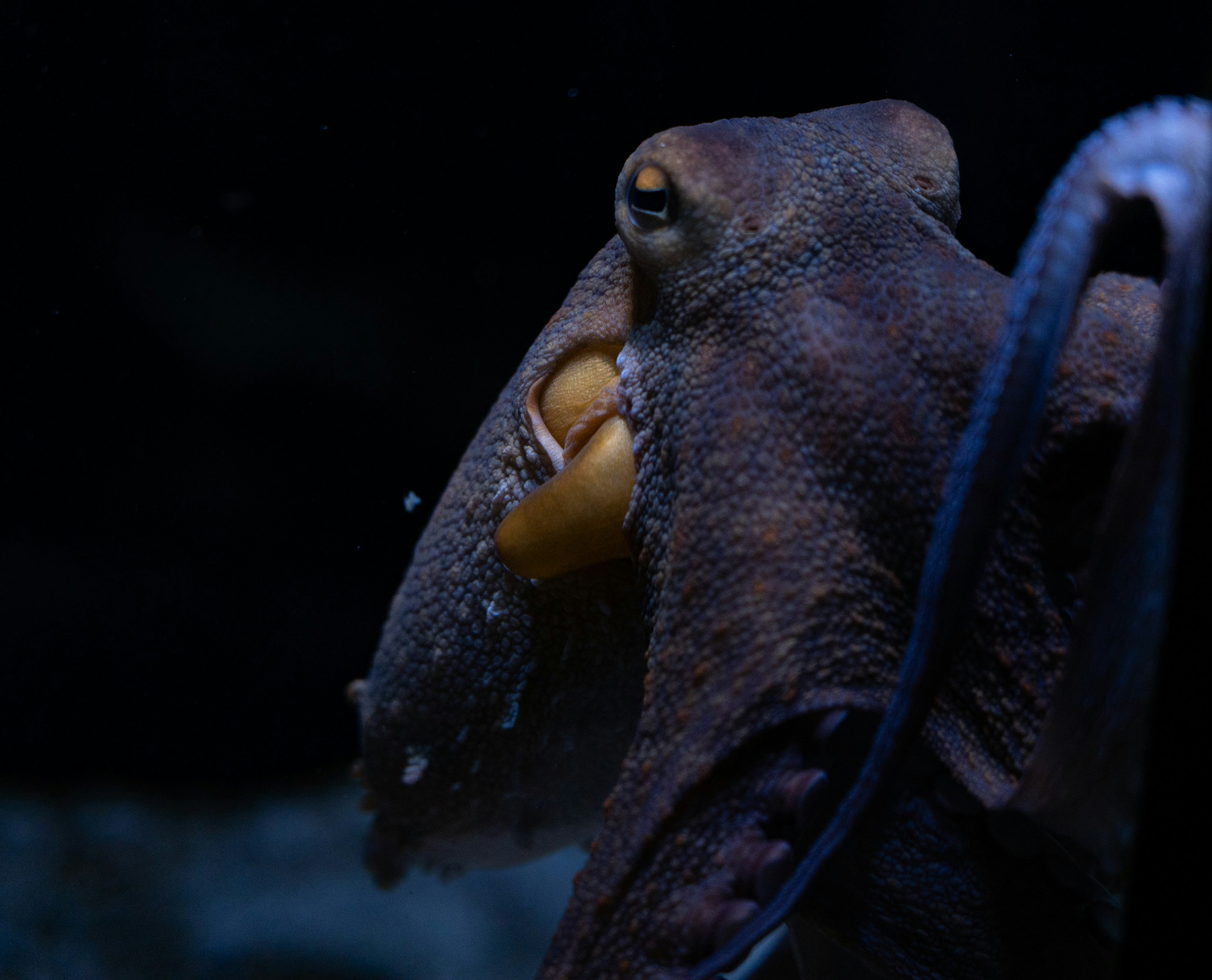 Photo by Vito Band with Sony Alpha 7 IV