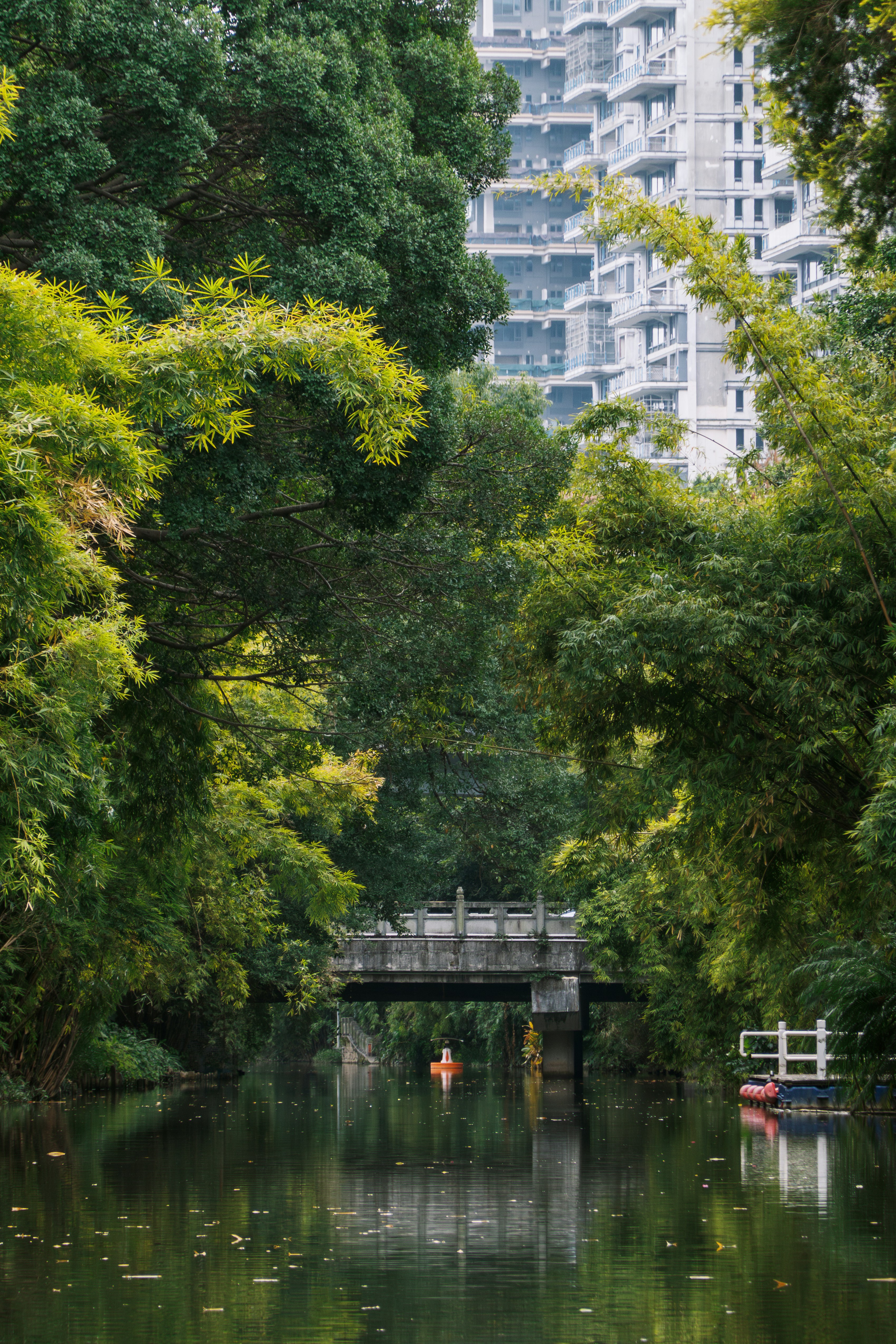 Emerald Corridor: A Riverside Canal Framed by Trees and a City Bridge