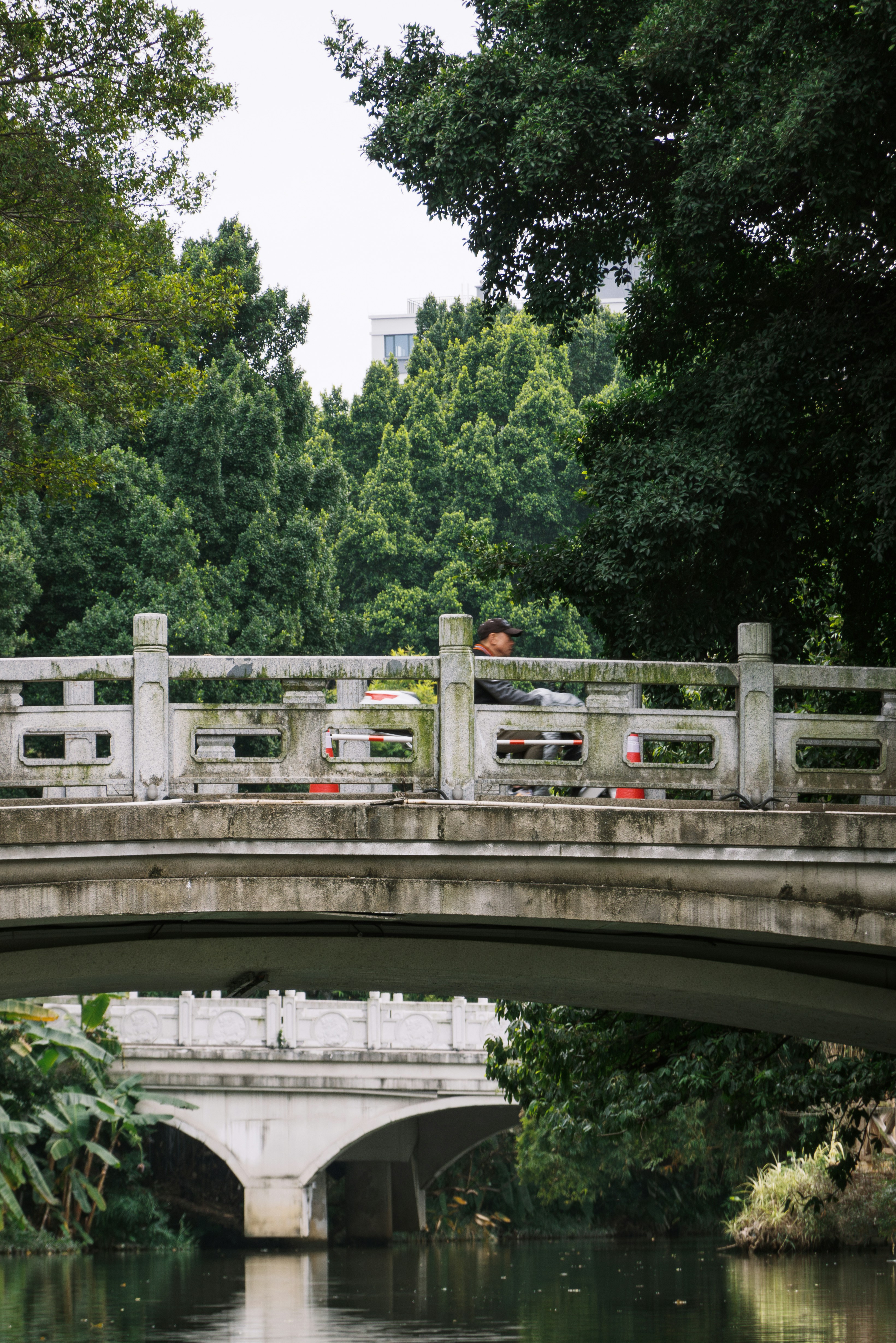 Verdant Pause on a Stone Bridge Over a Quiet River