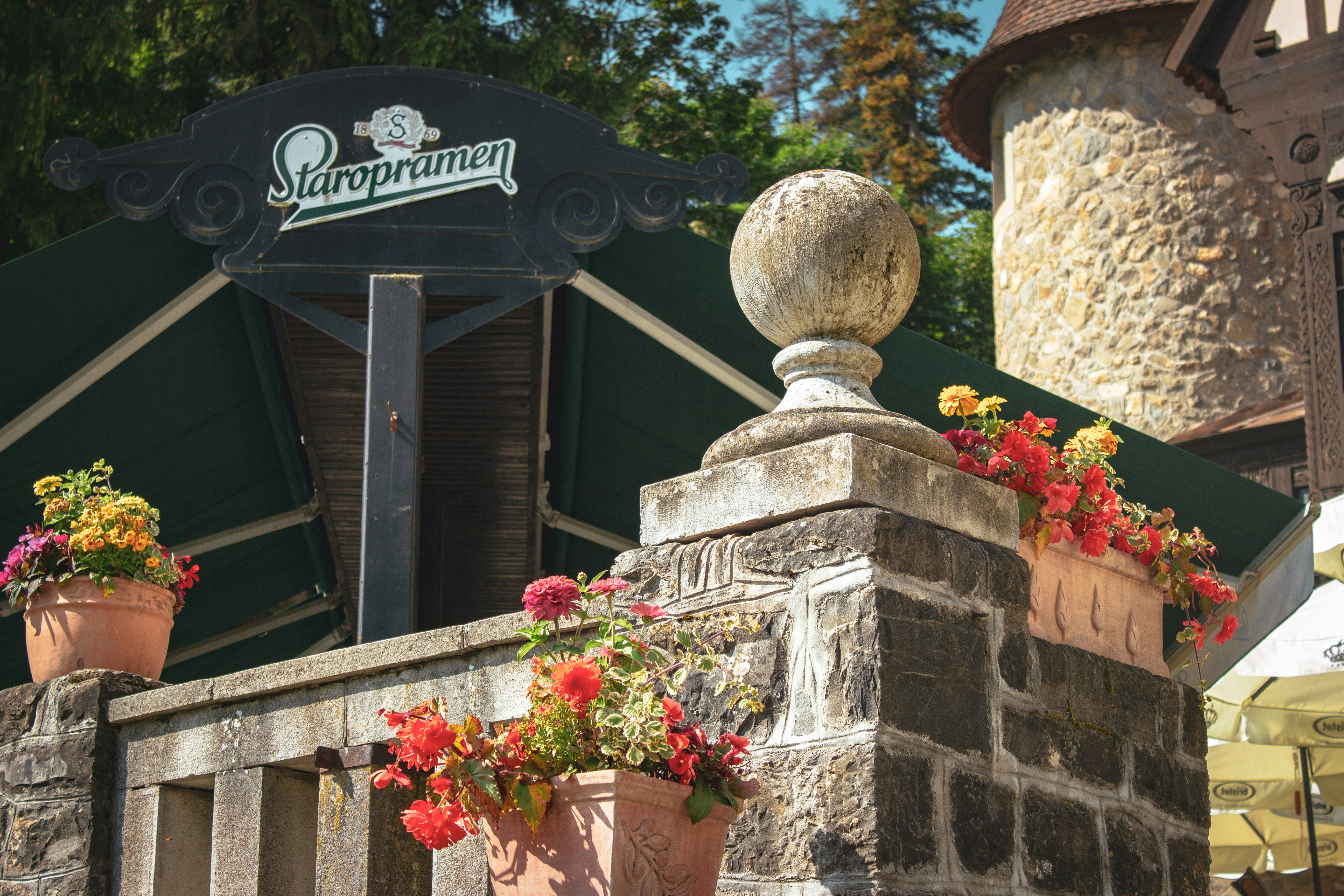 Rustic Charm Meets Floral Elegance