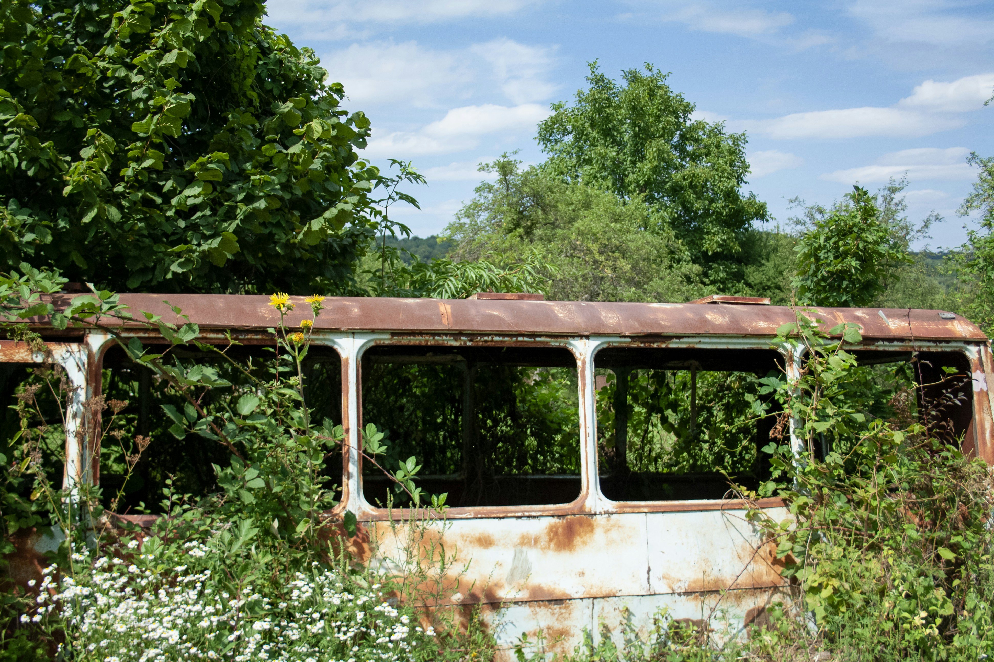 Rust, Ivy and Glass: A Forgotten Railcar Reclaimed by Nature