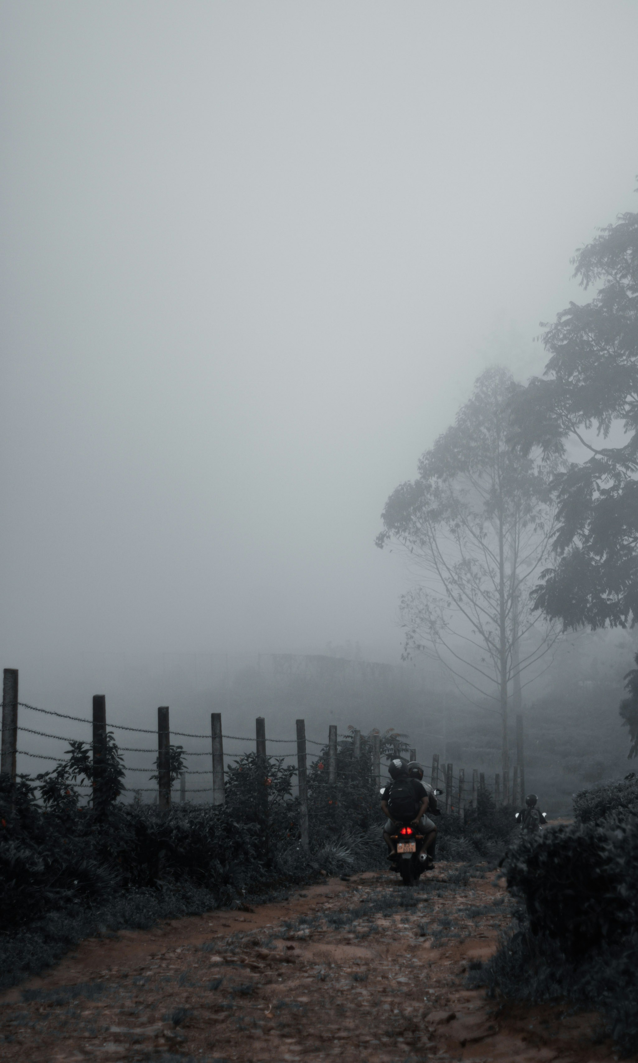 Fog-Wrapped Lane: A Lone Motorcycle Threads Through a Misty Rural Fence Line