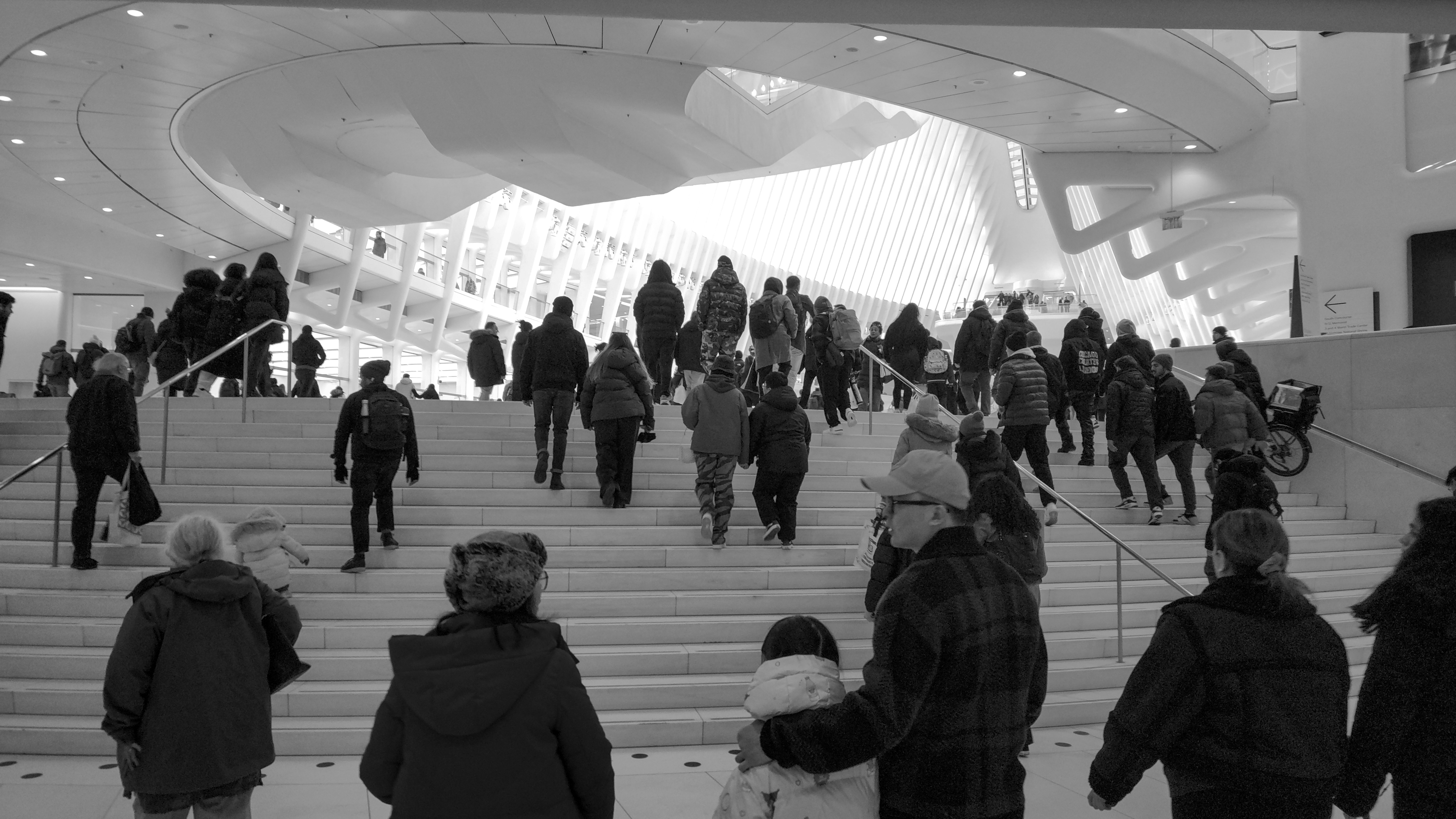Crowd ascending a grand staircase in a modern building with sweeping curves and luminous skylights.