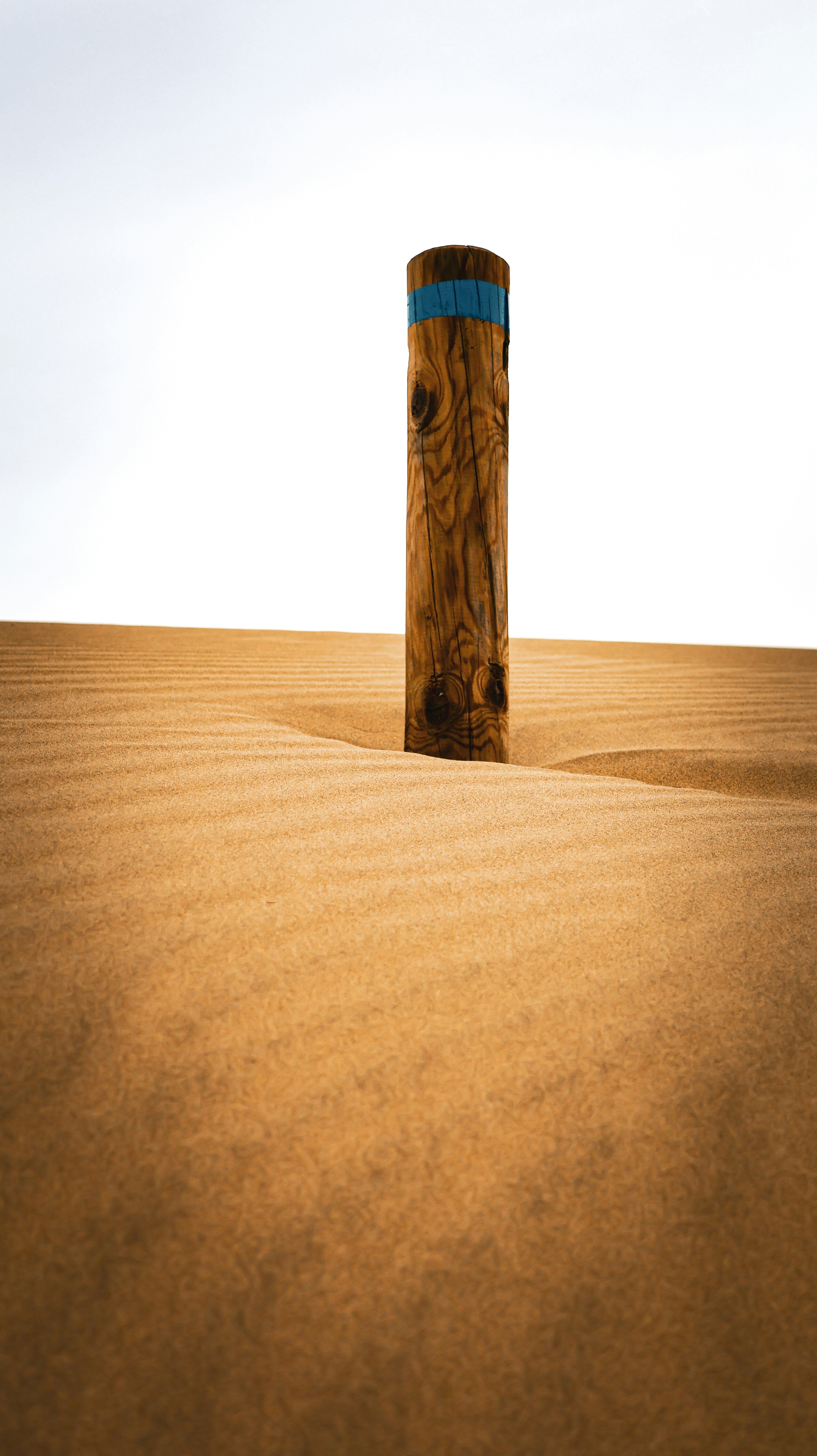 Blue-Taped Beacon: A Post Rising from the Dunes