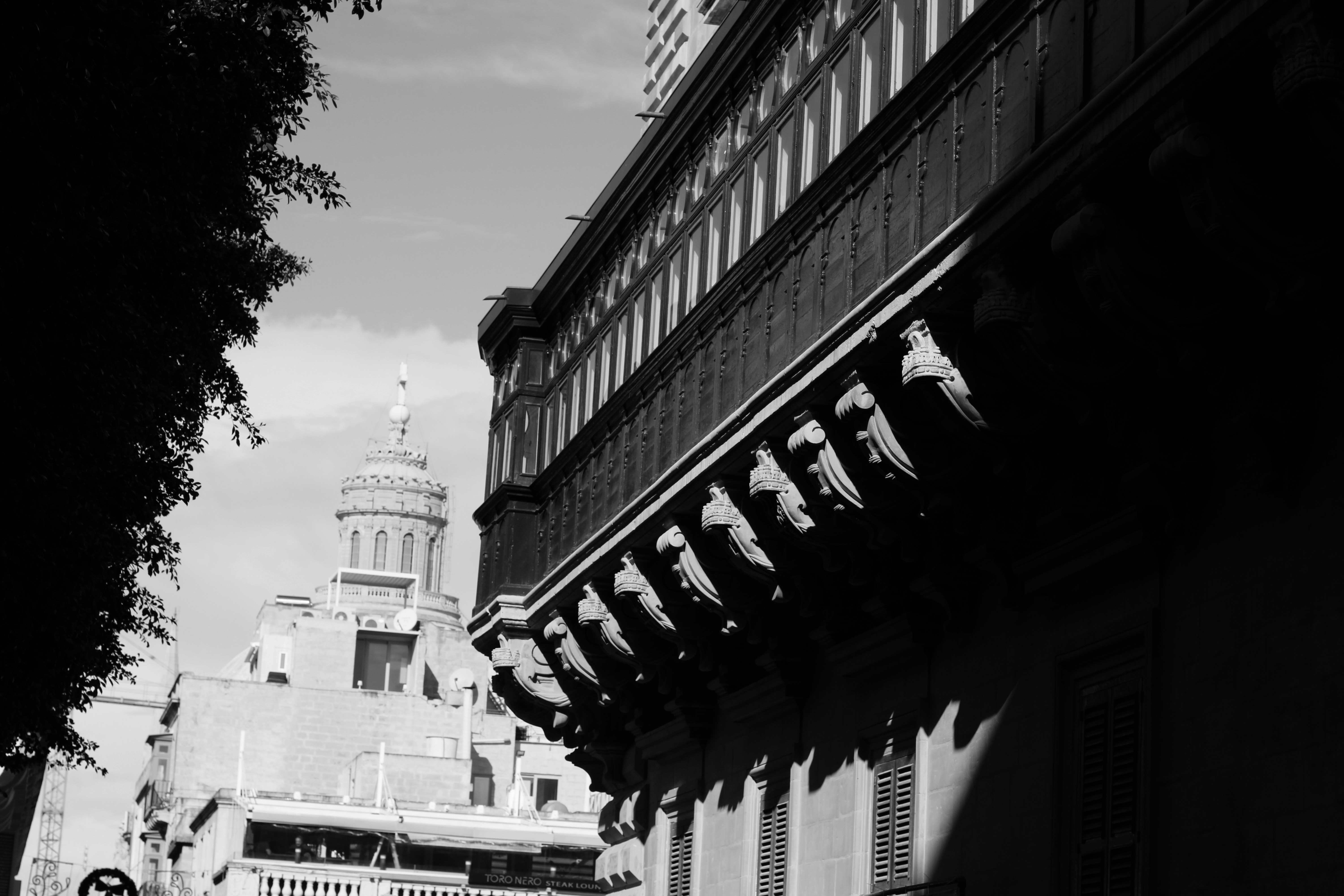 Photo by Neil Kami with Canon EOS 2000D