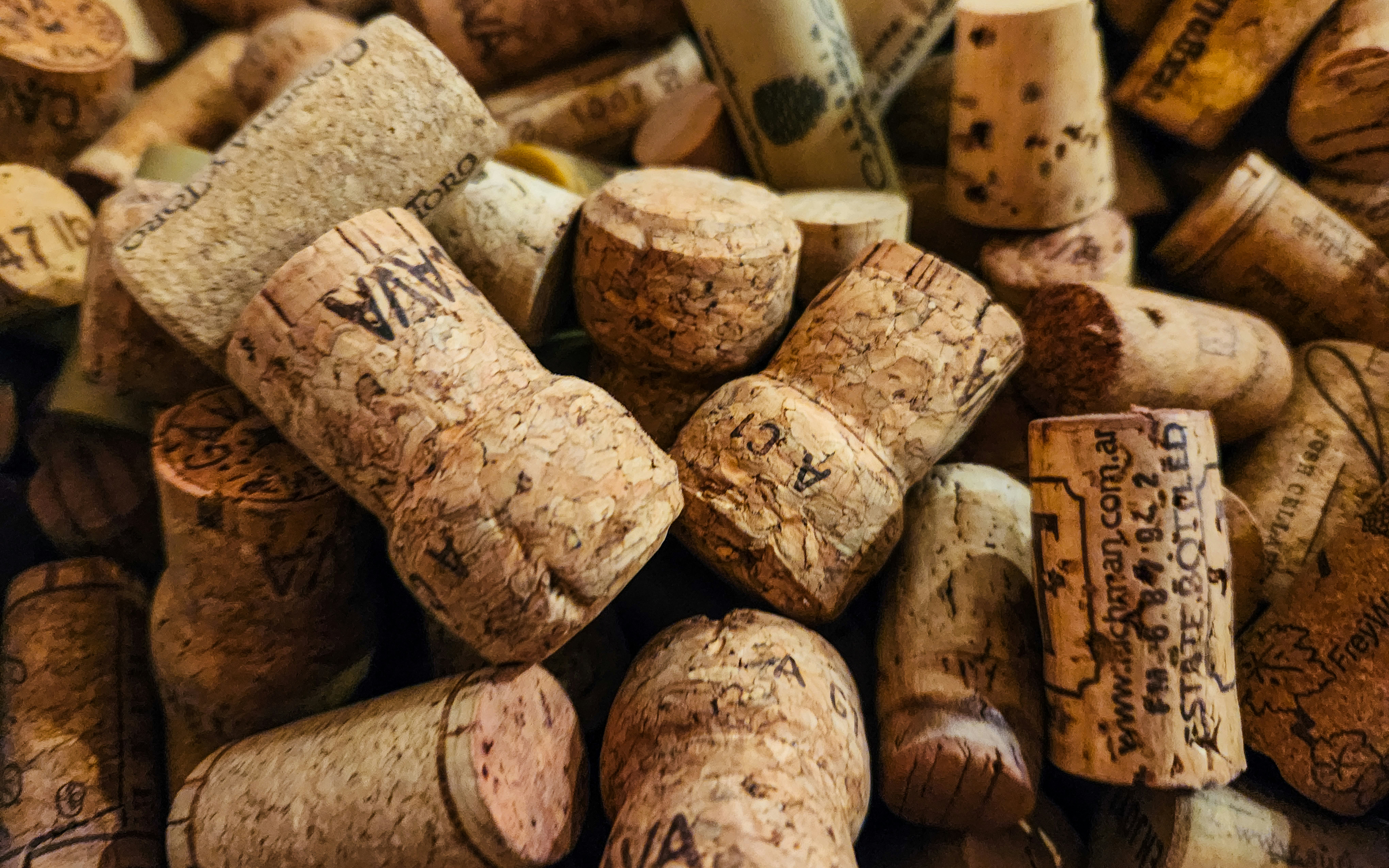 Close-up of assorted wine corks highlighting diverse textures and engravings under warm ambient light.