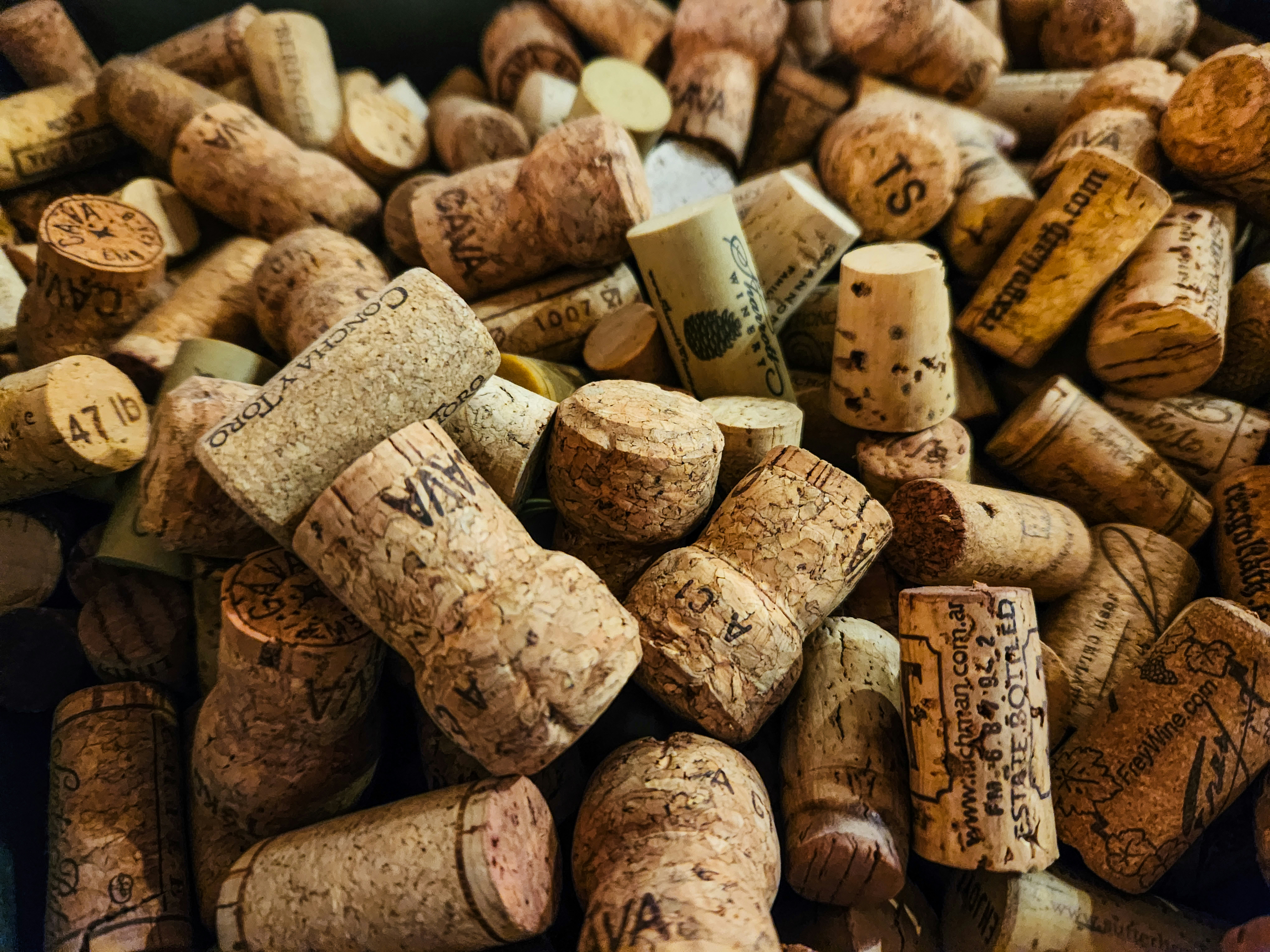 Close-up of assorted wine corks showcasing diverse textures and warm hues.