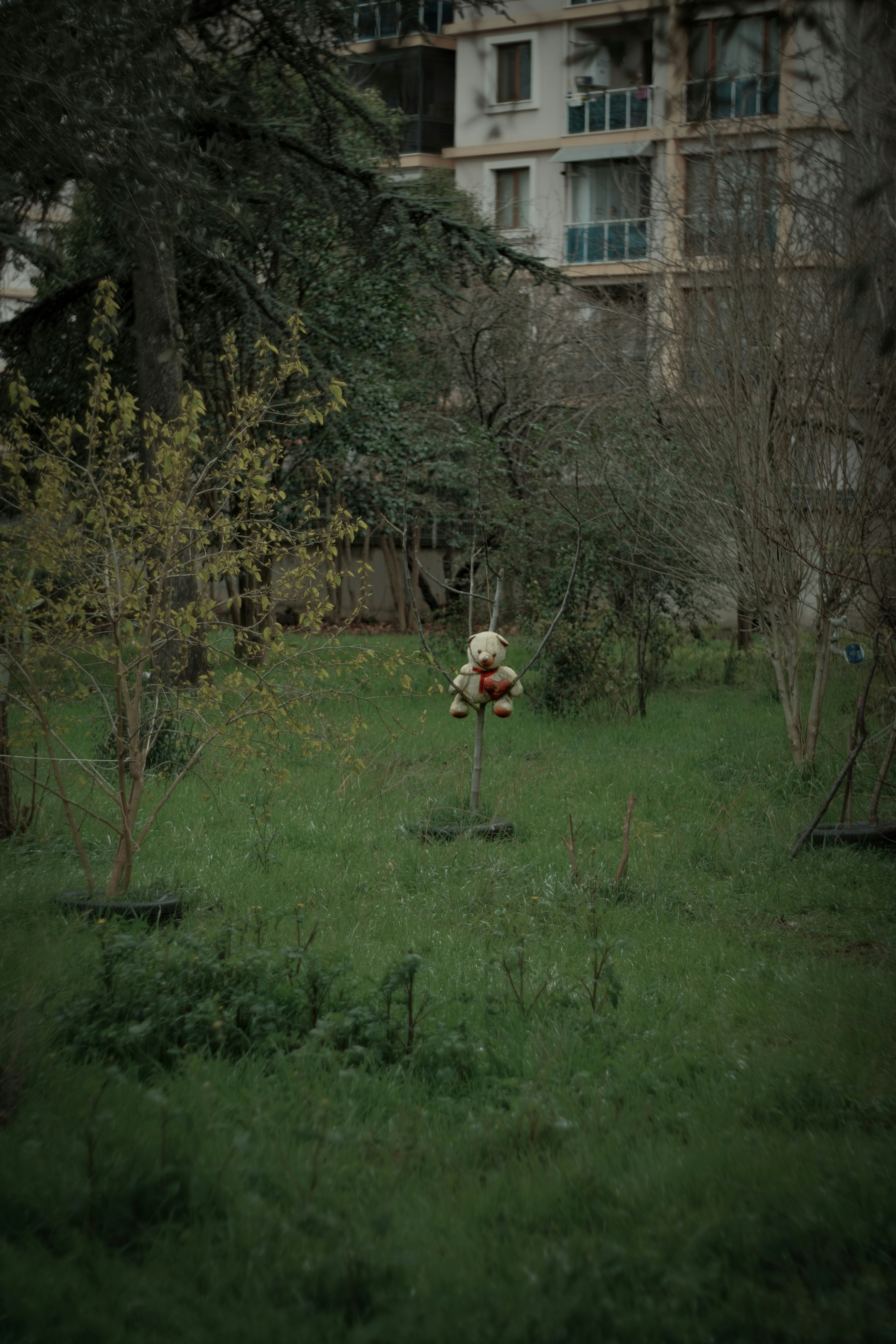 Centered Teddy on a Lone Swing in a Quiet Garden Behind an Apartment Block