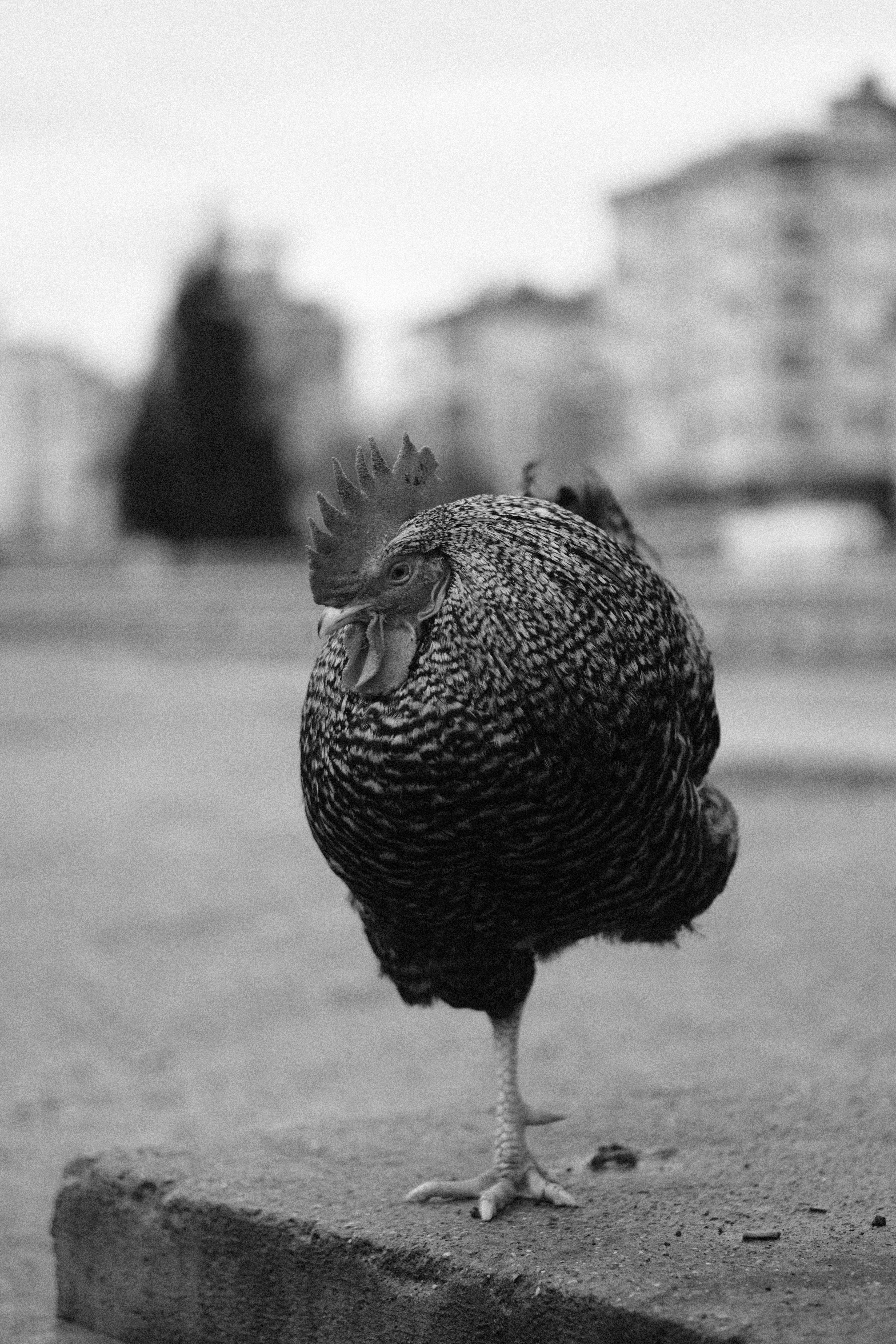 Photo by İsmail Efe Top with Fujifilm X-T5