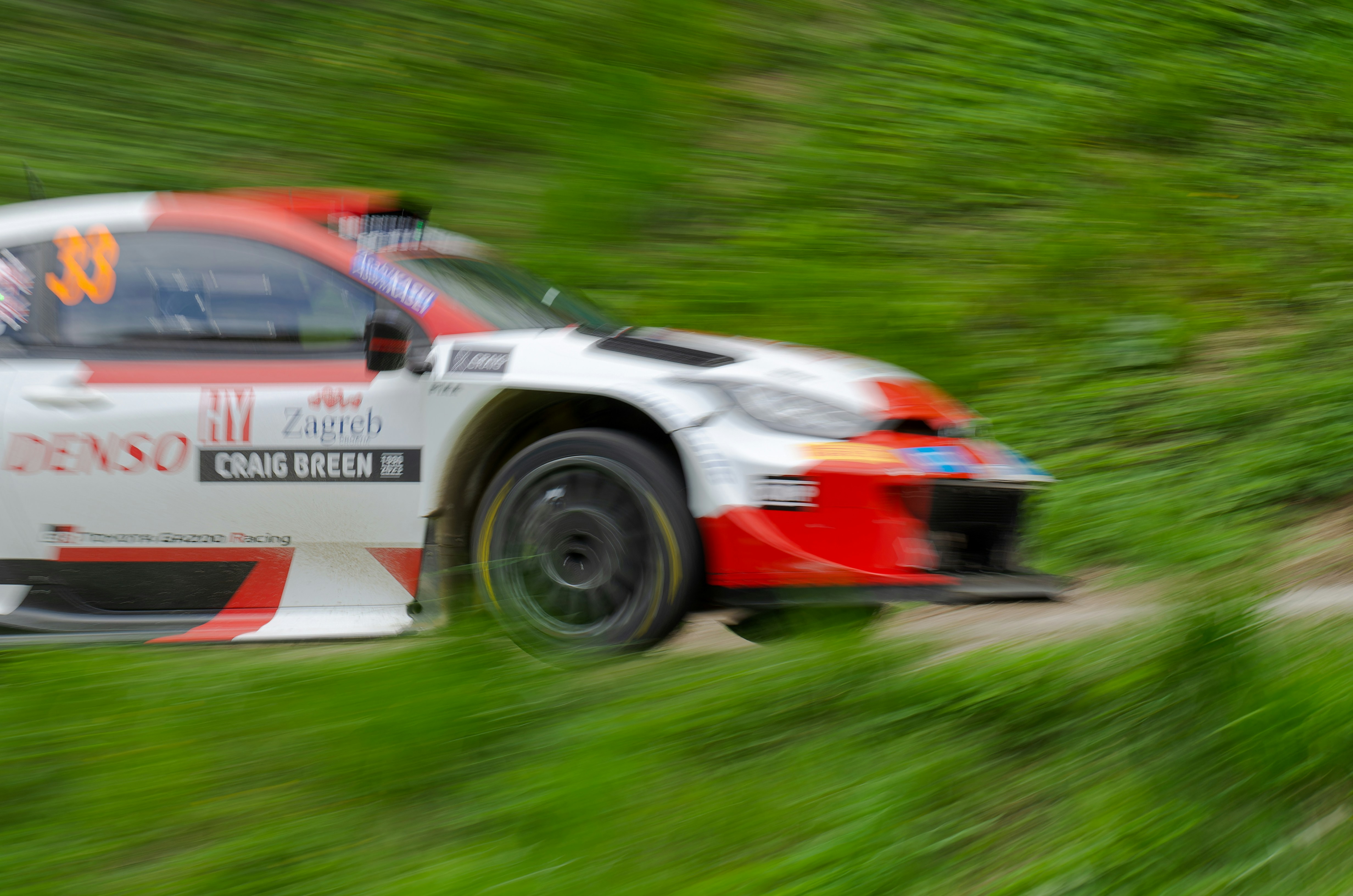 Velocity Through Verdant