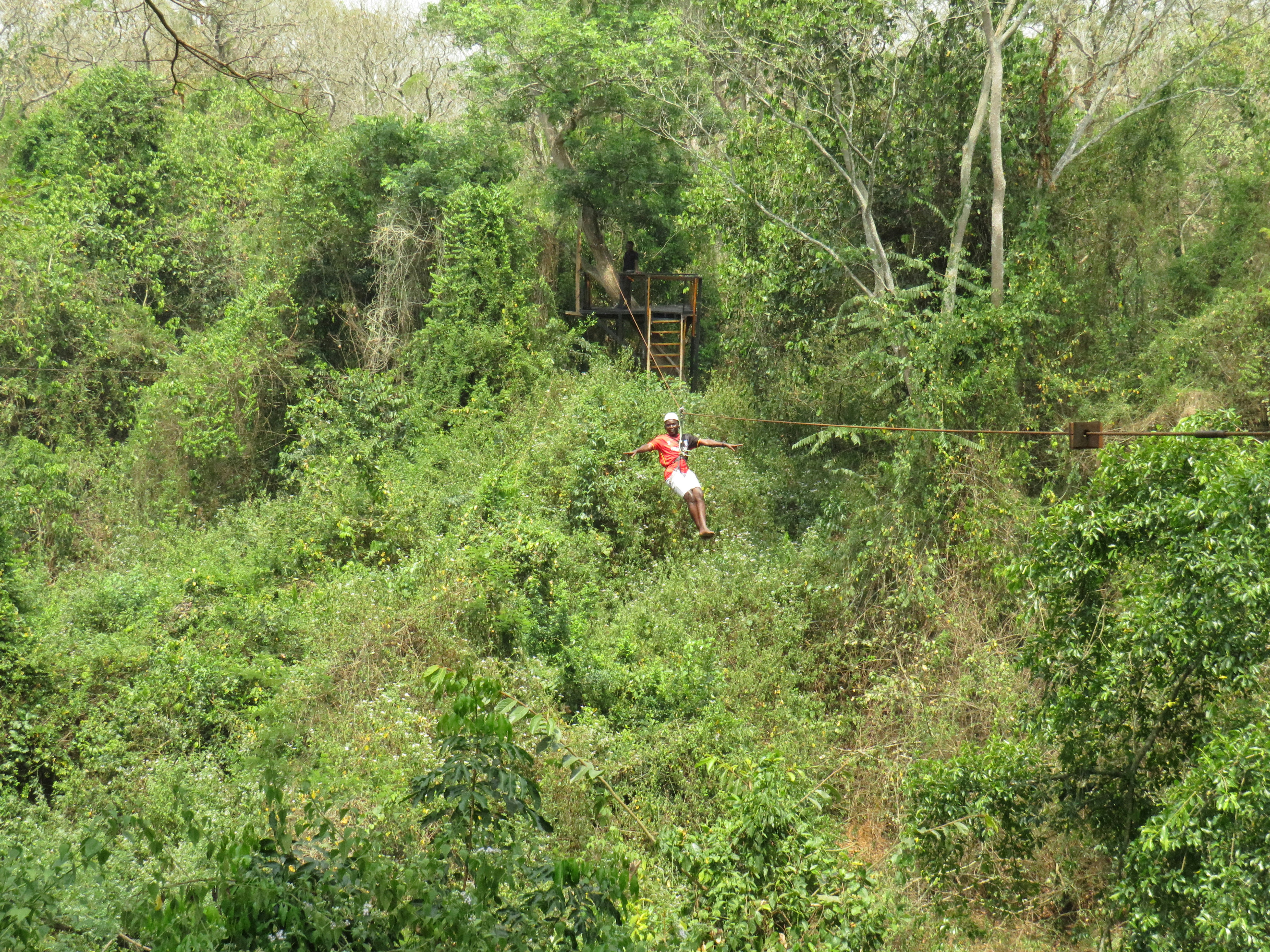 Crossing the Canopy: A lone rider glides over a mossy hillside