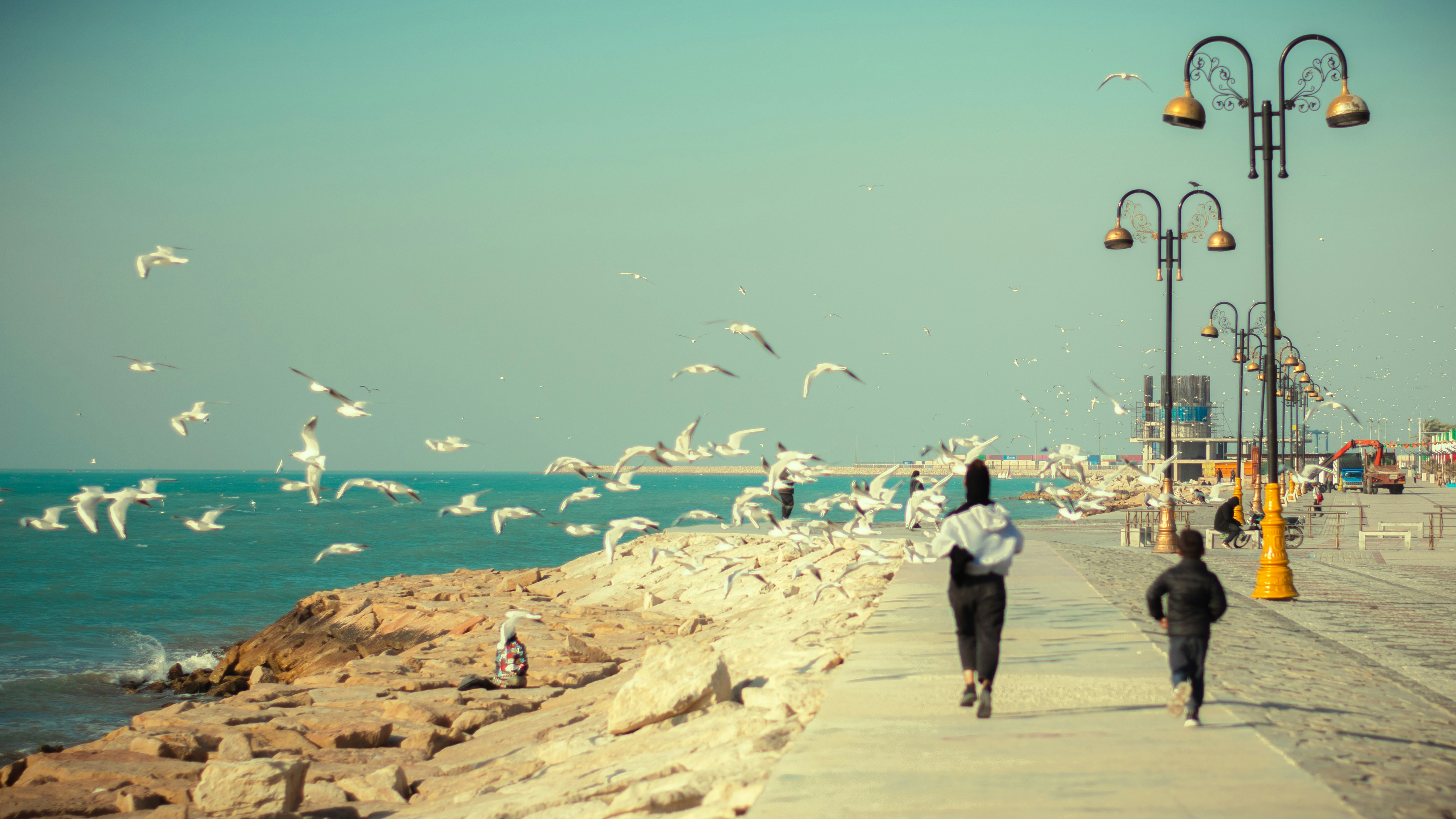 Figures walk along a seaside path under a sky filled with soaring seagulls and bordered by a teal ocean.