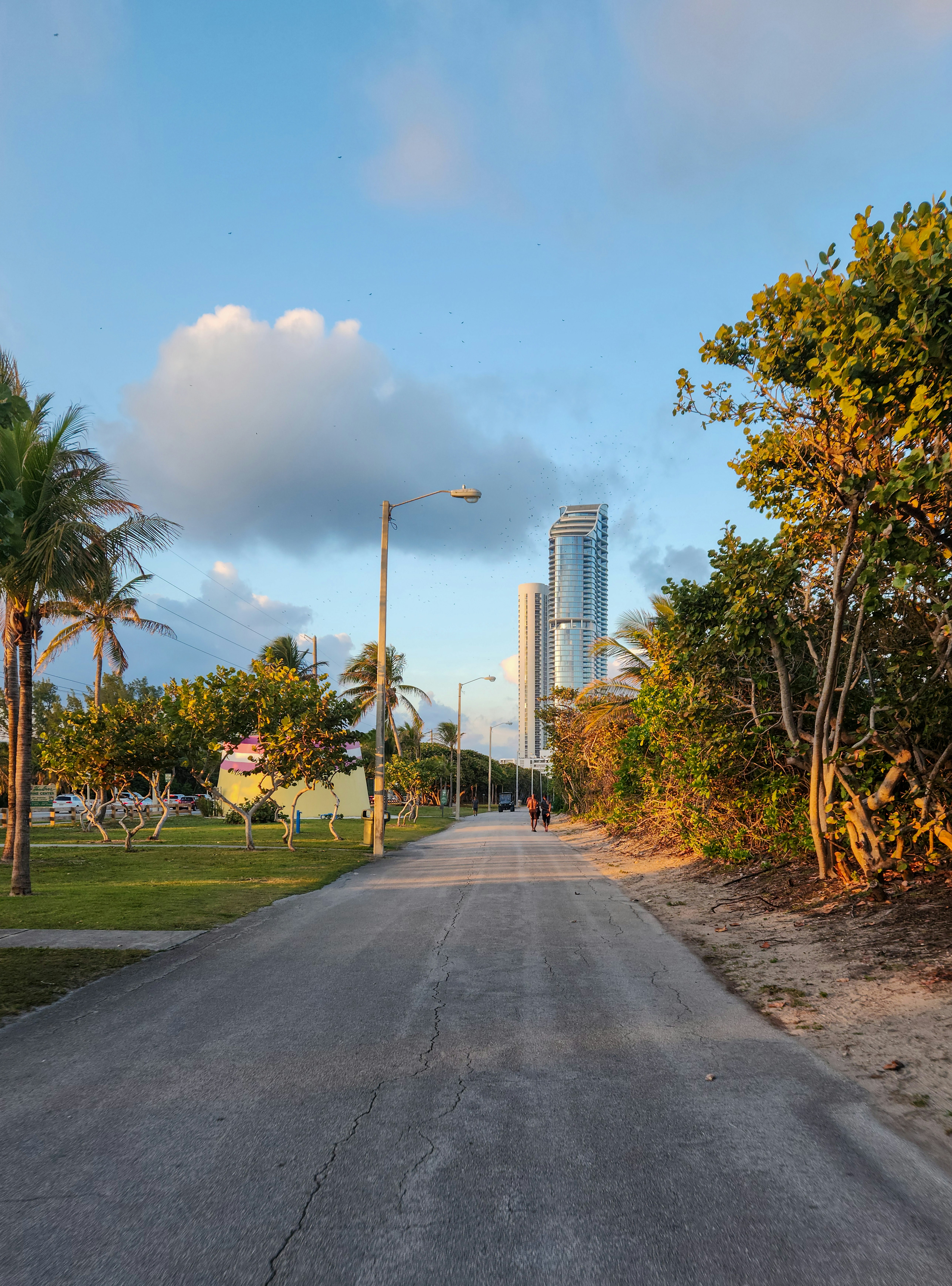 Palm-Lined Path Toward Glass Towers at Golden Hour