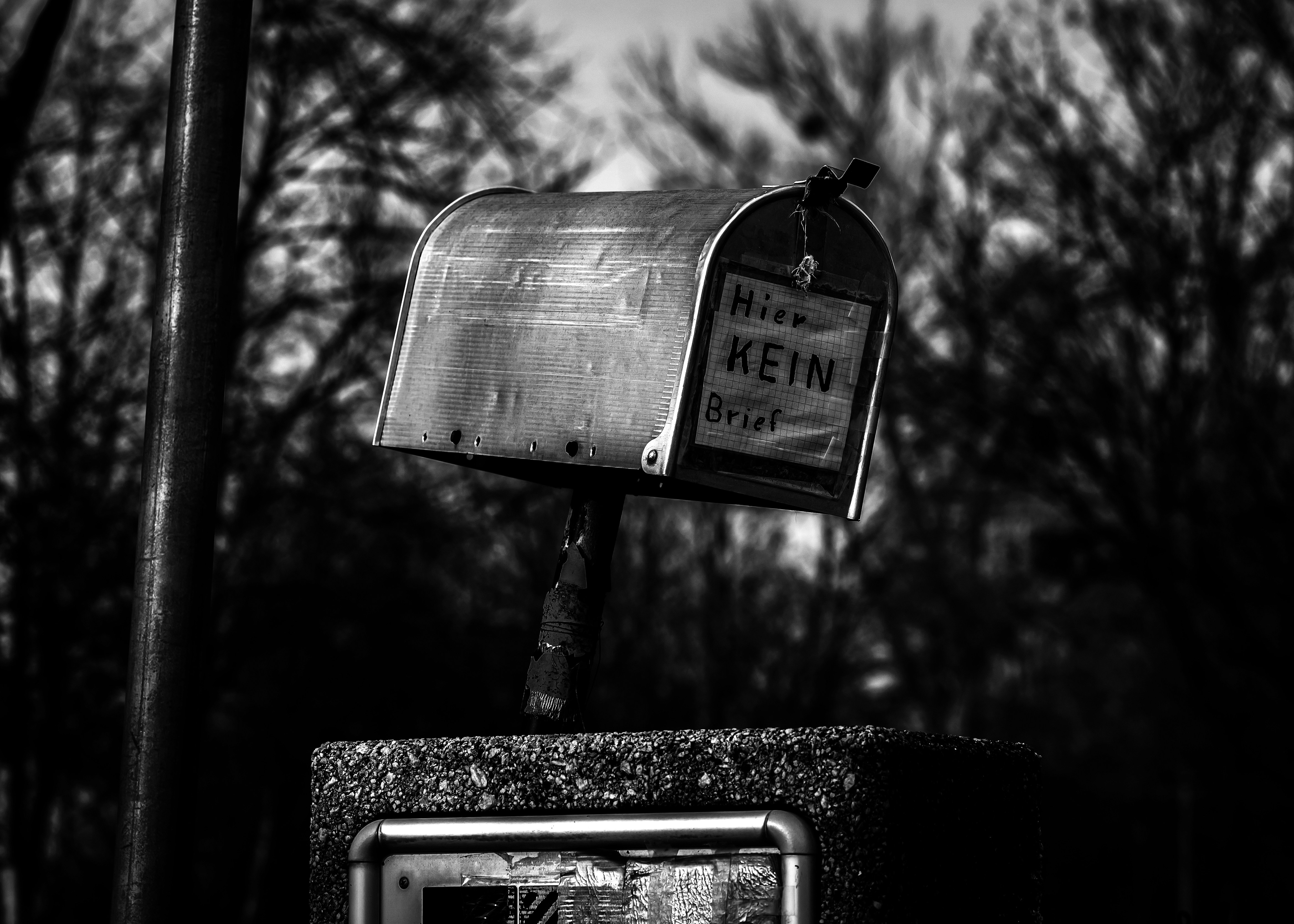 Photo by Jahanzeb Ahsan with Sony Alpha 7 IV