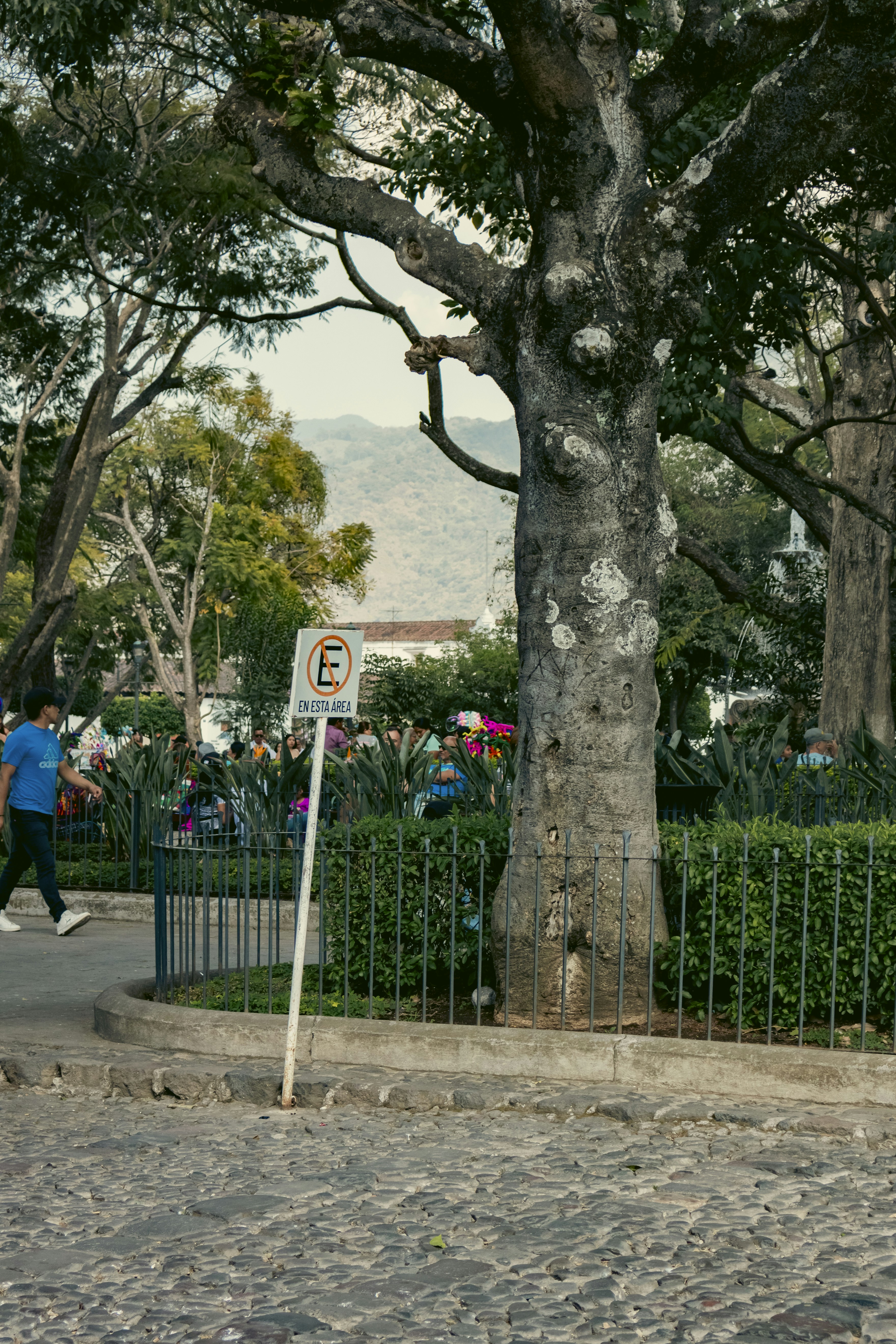 Photo by Kevin Serech with Canon EOS R100