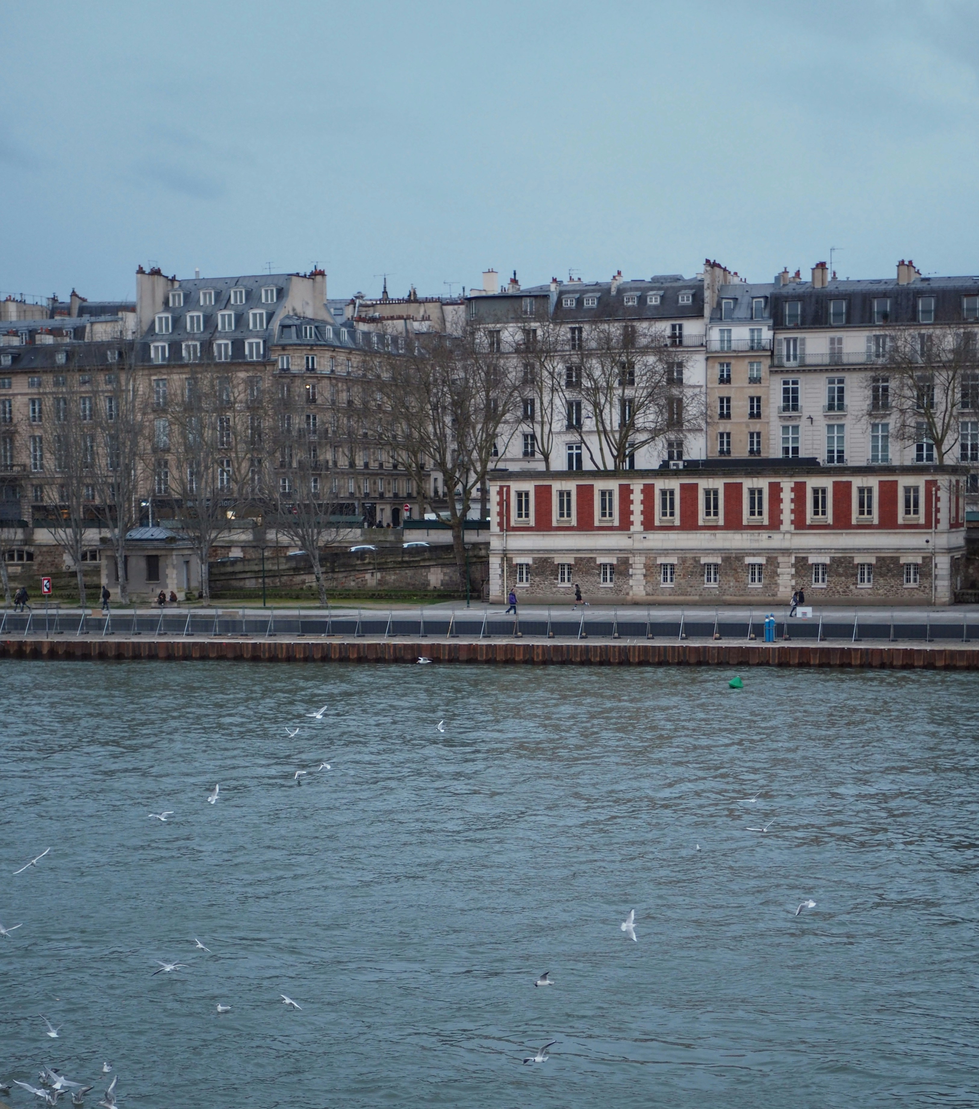 Red-brick Quayline: Riverside Townhouses and Skimming Seagulls