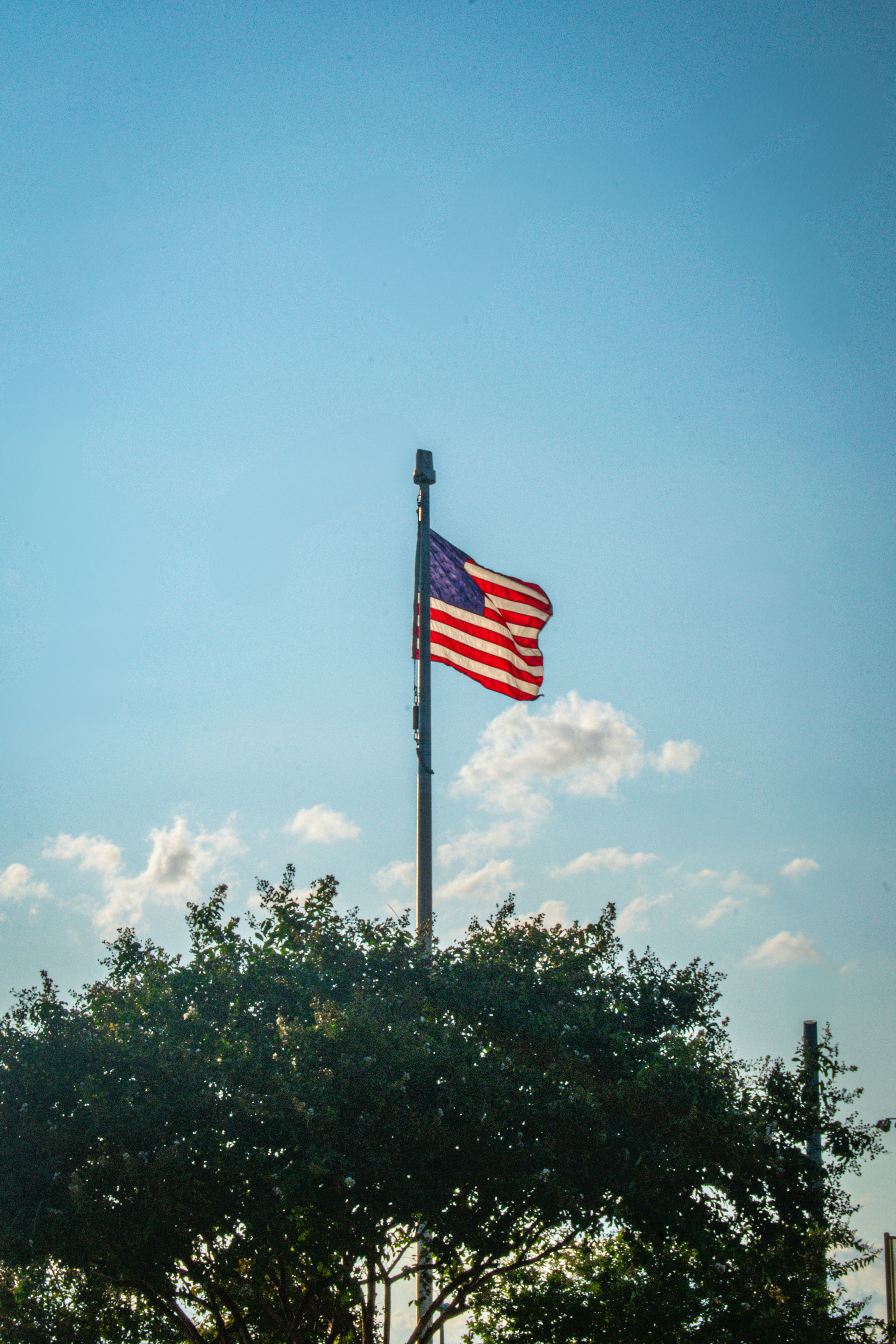 Flag Above the Canopy: A solitary banner waving over sunlit trees