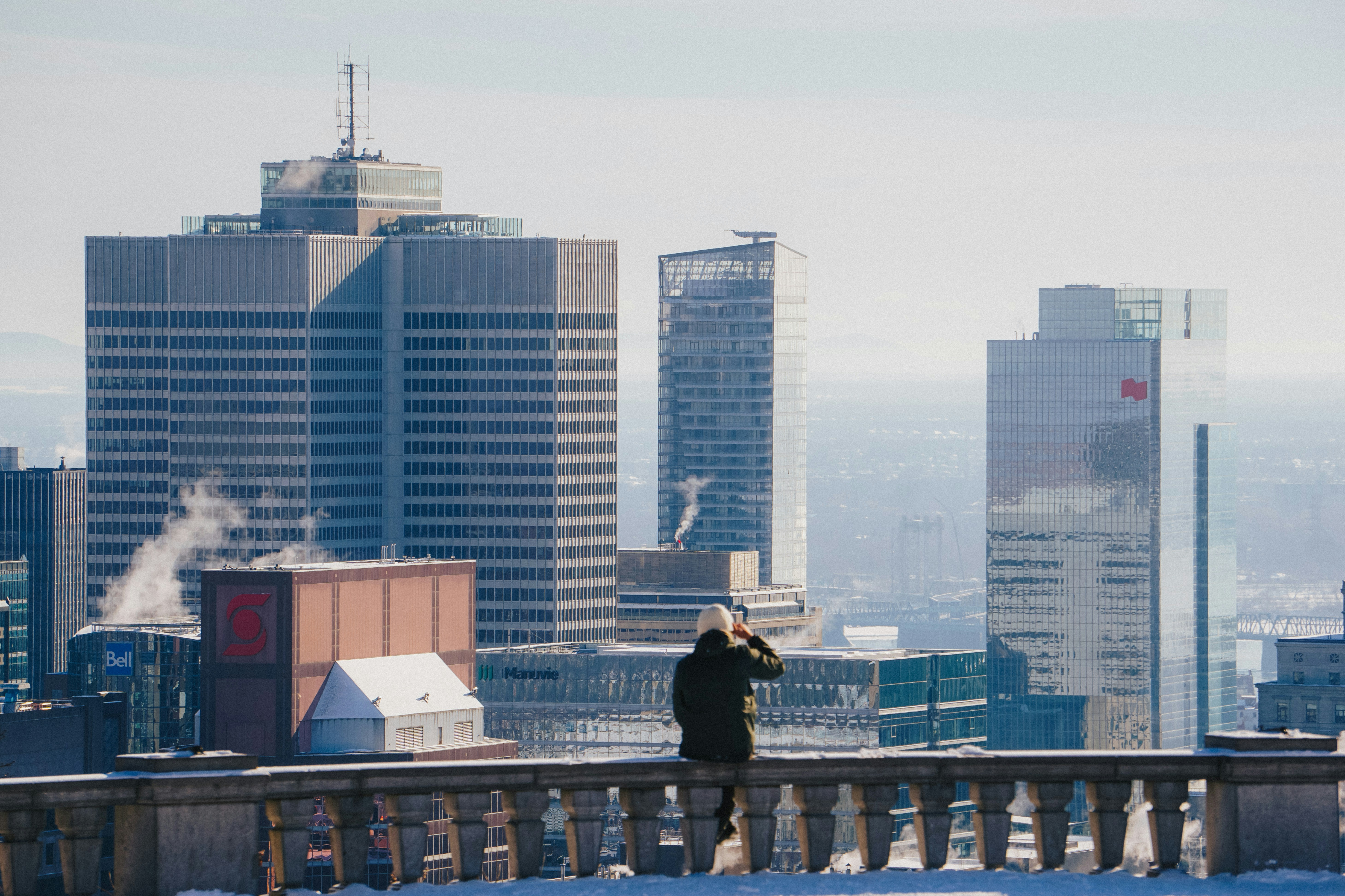 Winter's Solitude Over the Metropolis