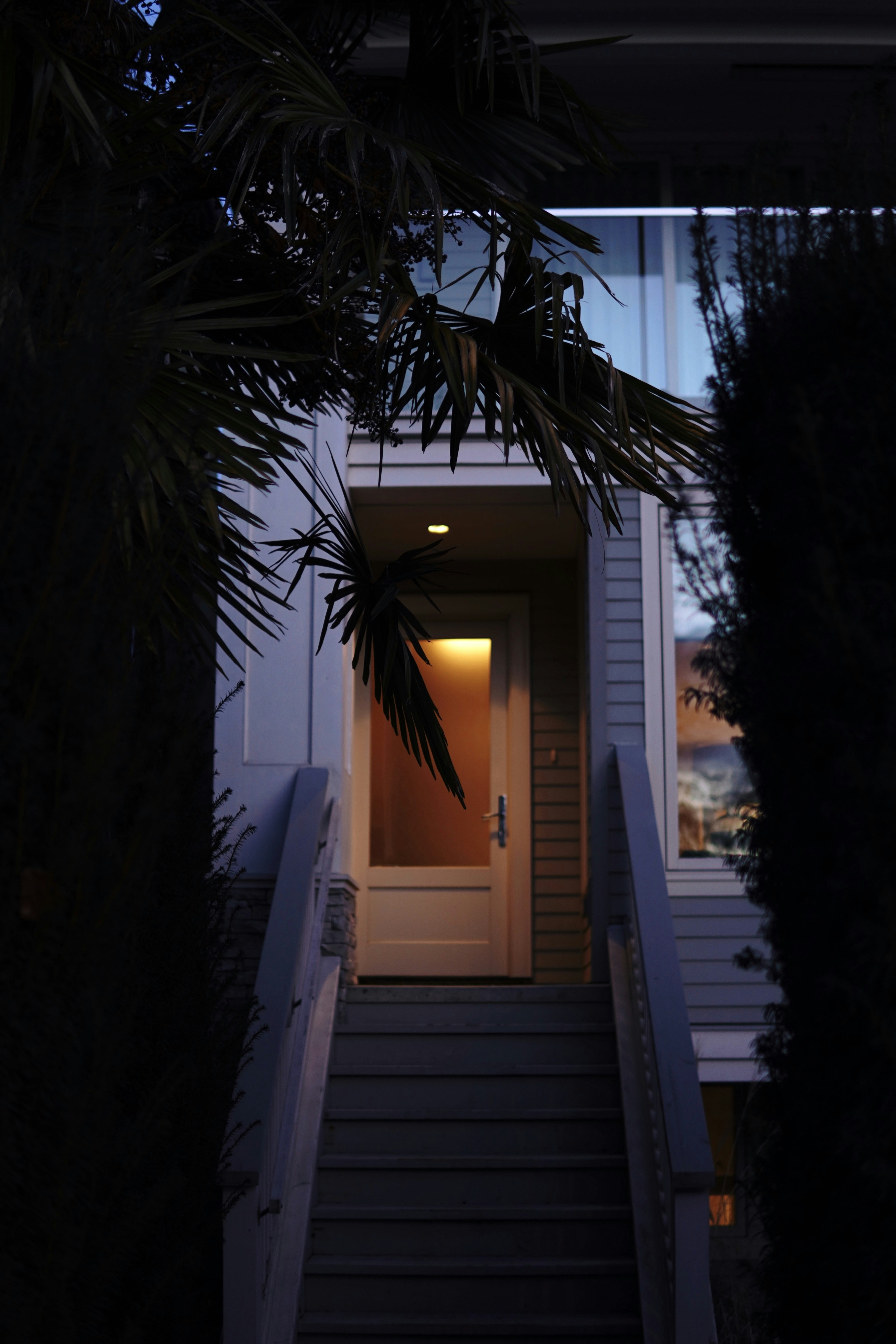 Warm doorway at dusk: a stairway to a lit interior framed by tropical foliage
