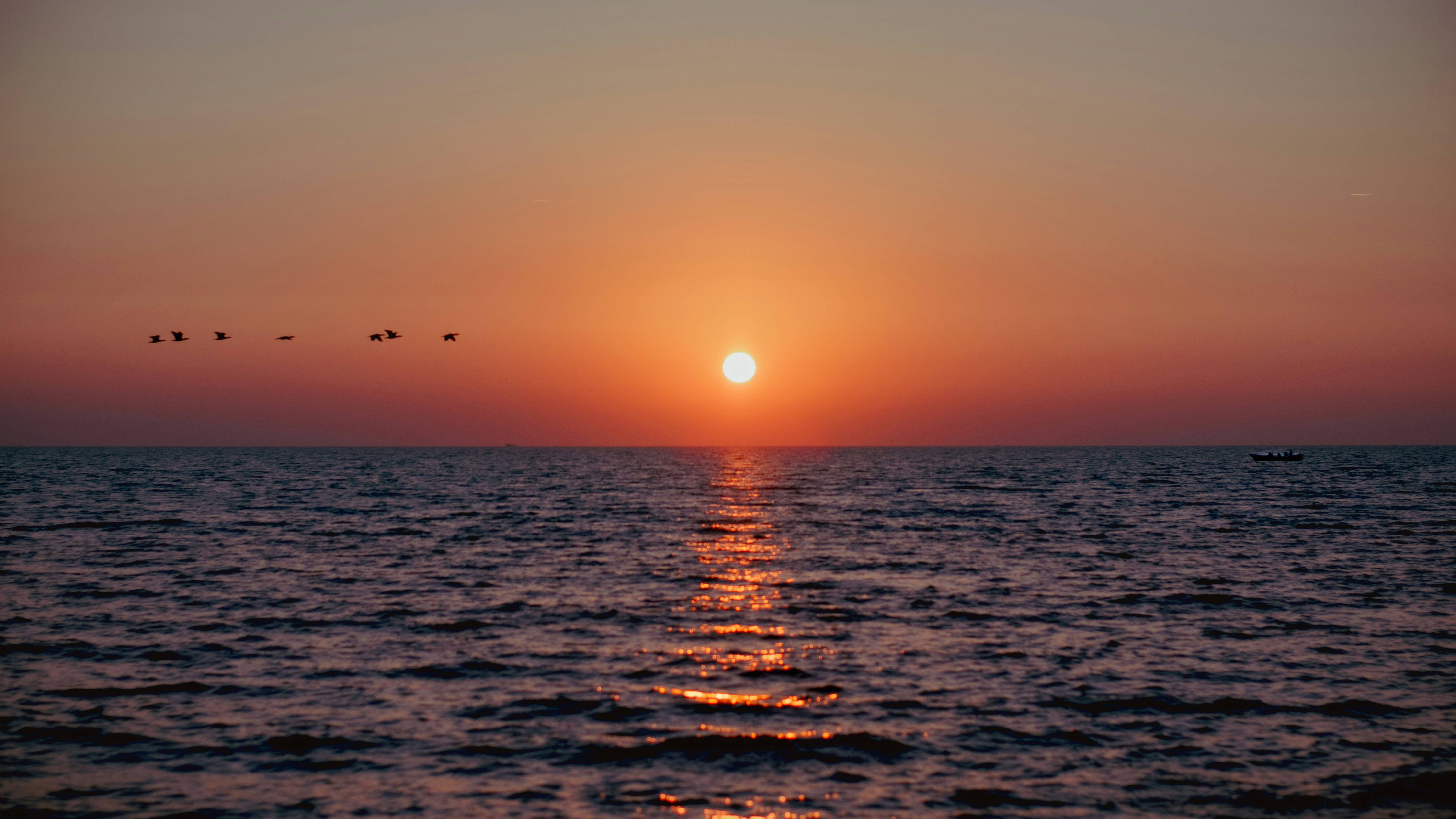 Sunset over the ocean with birds silhouetted against the orange sky.