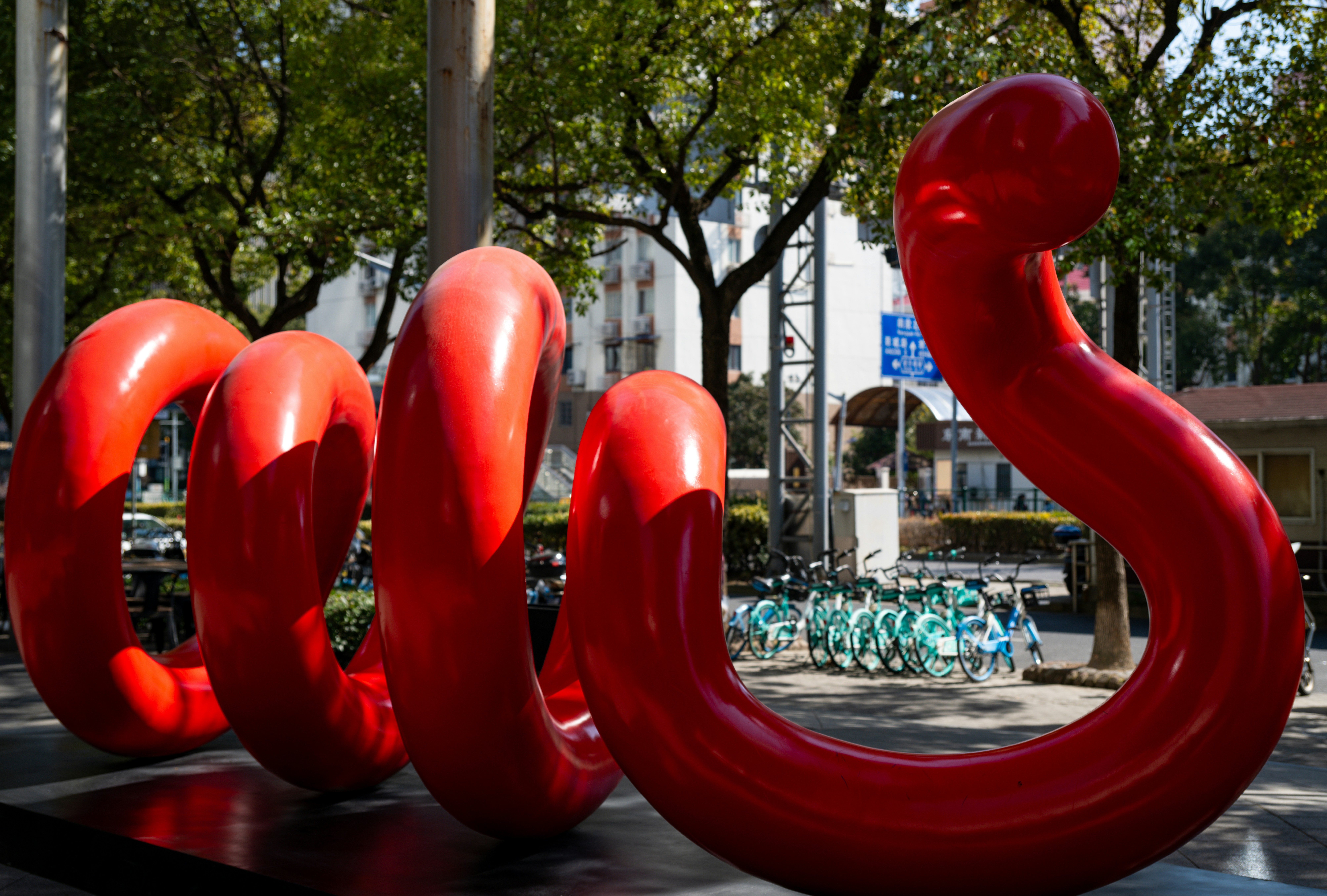 Photo by Declan Sun with Nikon Z8