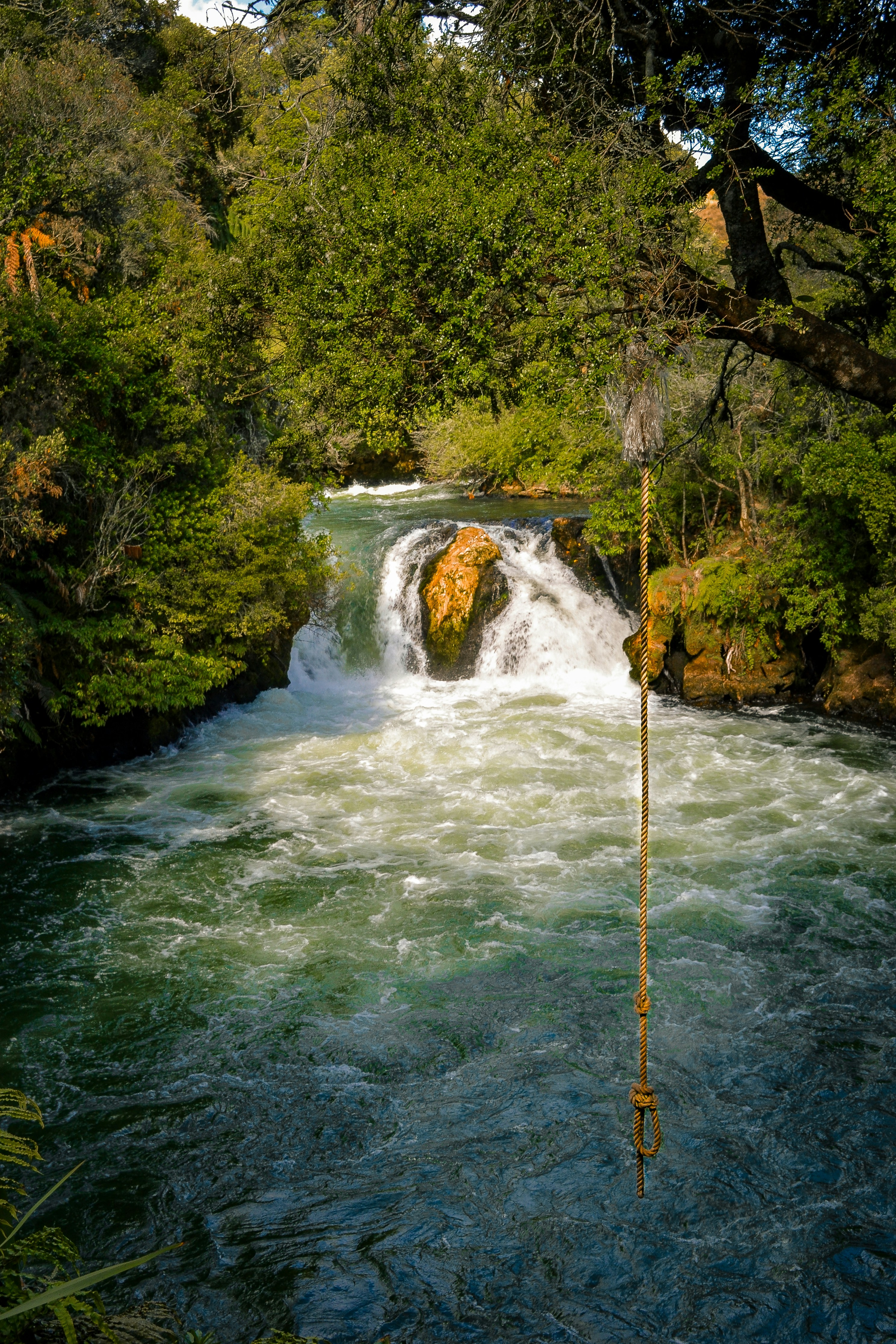Rope Over Rapids: A Quiet Cascade Framed by Green Gorge