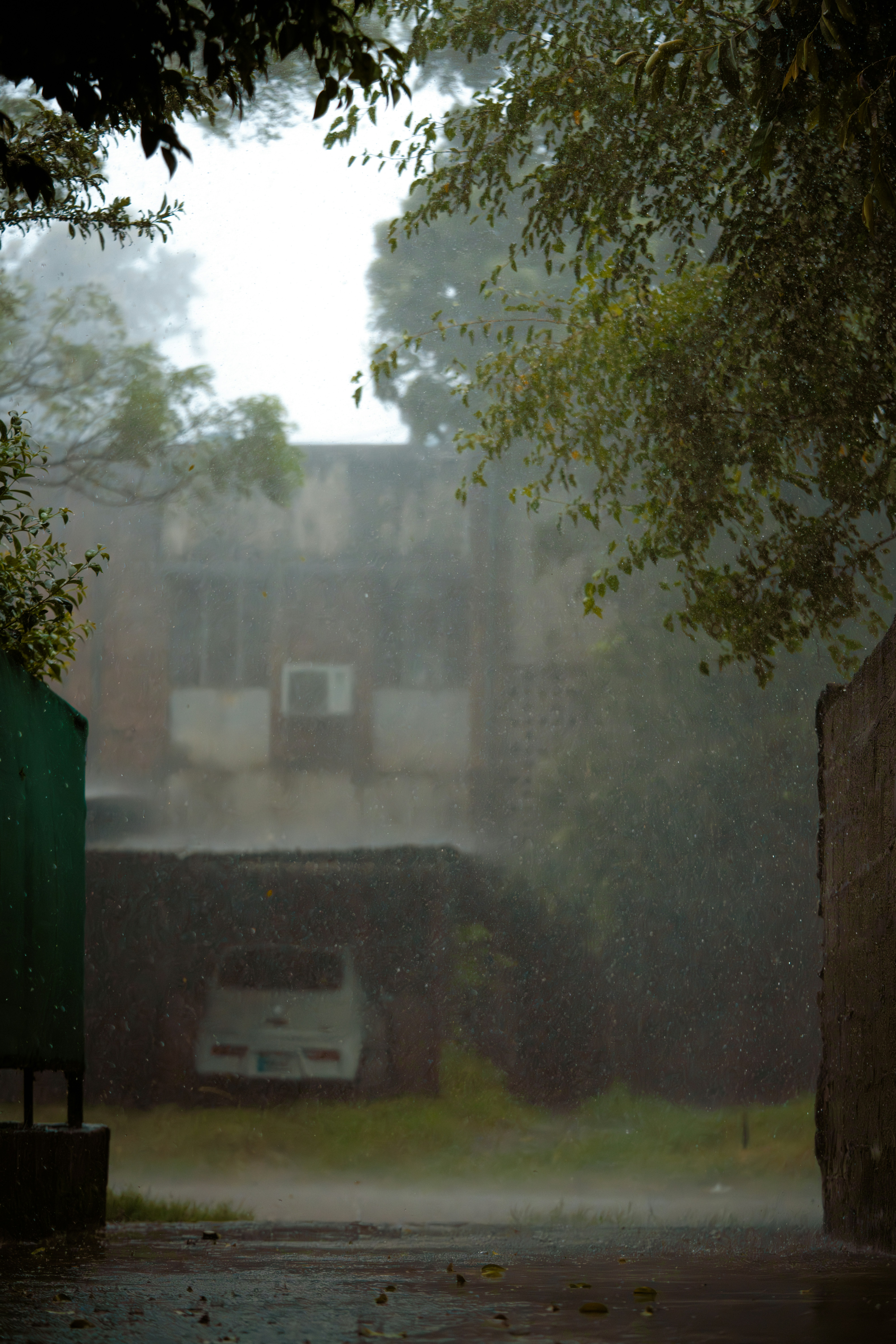 Rain-Slicked Alley: A Distant Car Hidden Beneath Green Archways