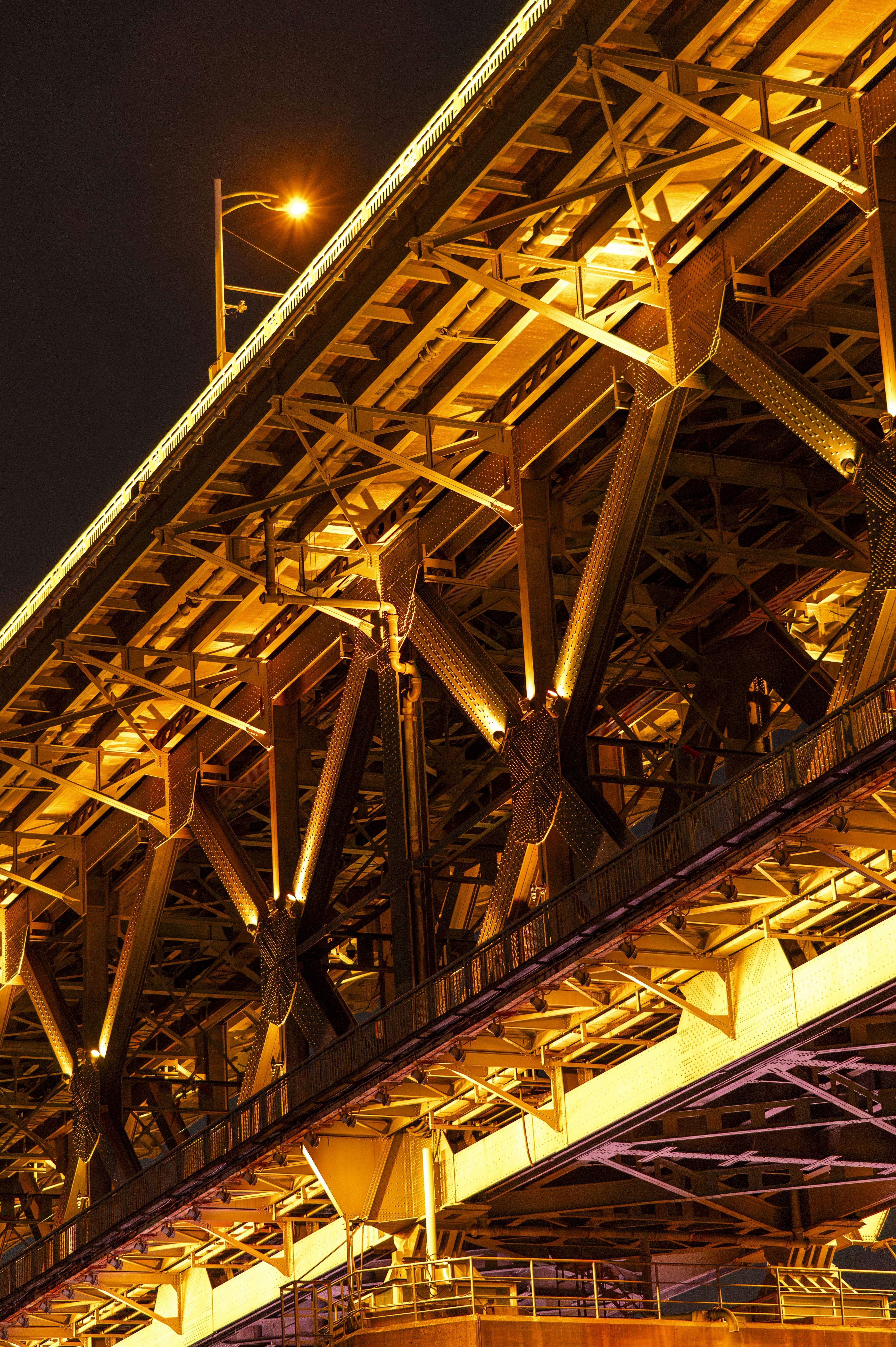 Photo by Kilian Murphy with Nikon Z6 II