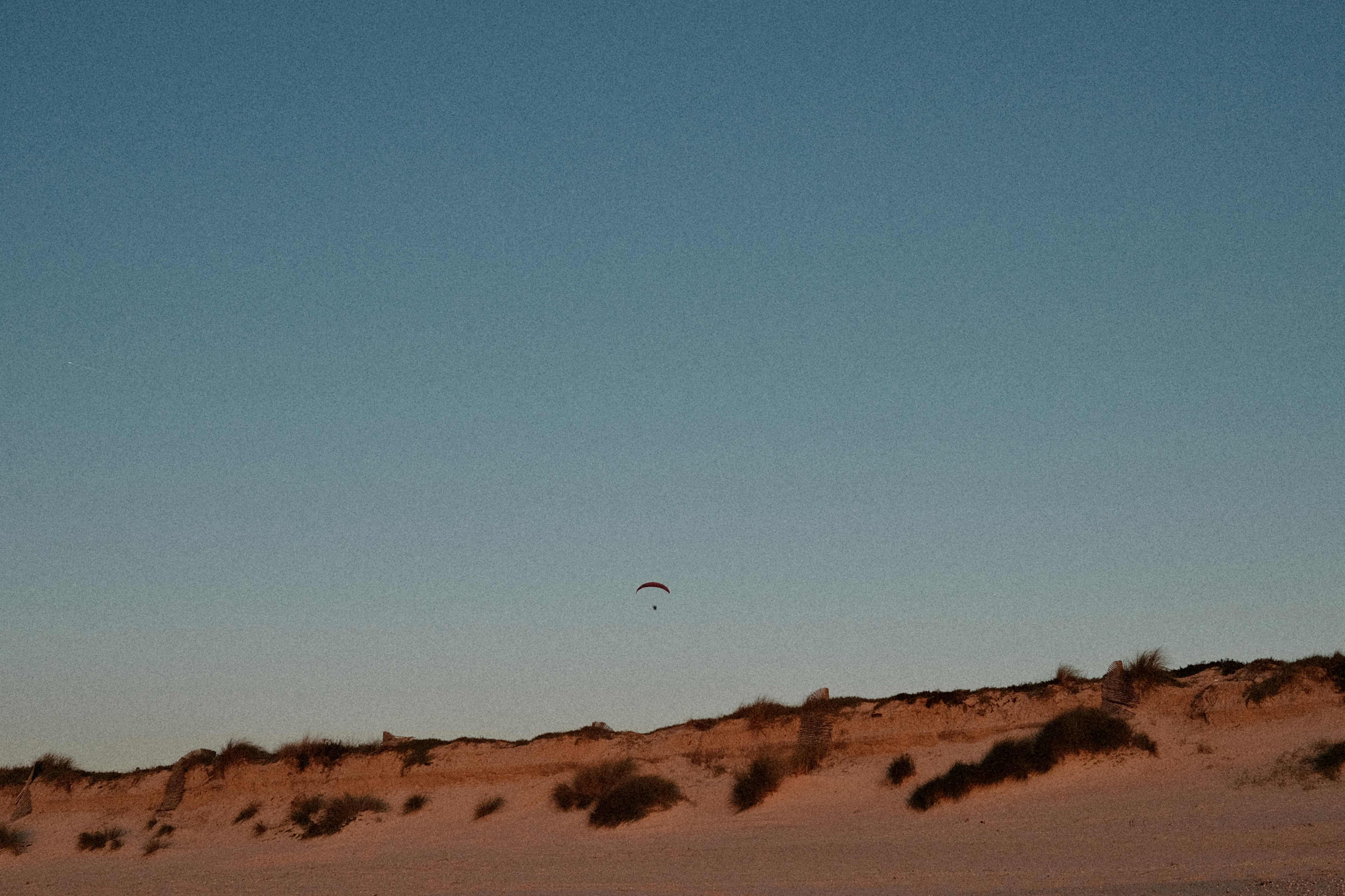 Dune Dawn Glide: Paraglider Above Quiet Sands
