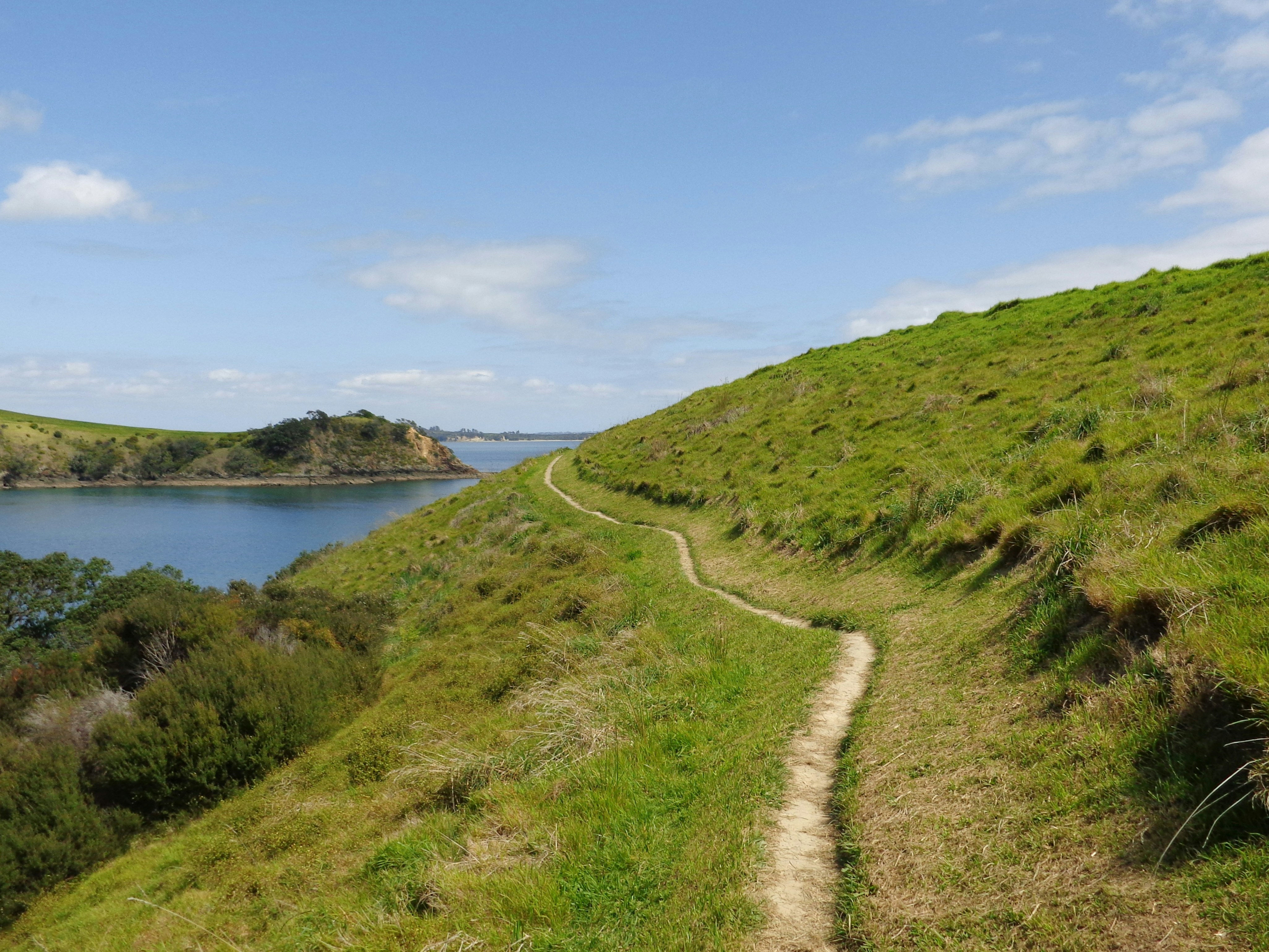 Paige Millard (@pmillard) | Unsplash Photo Community