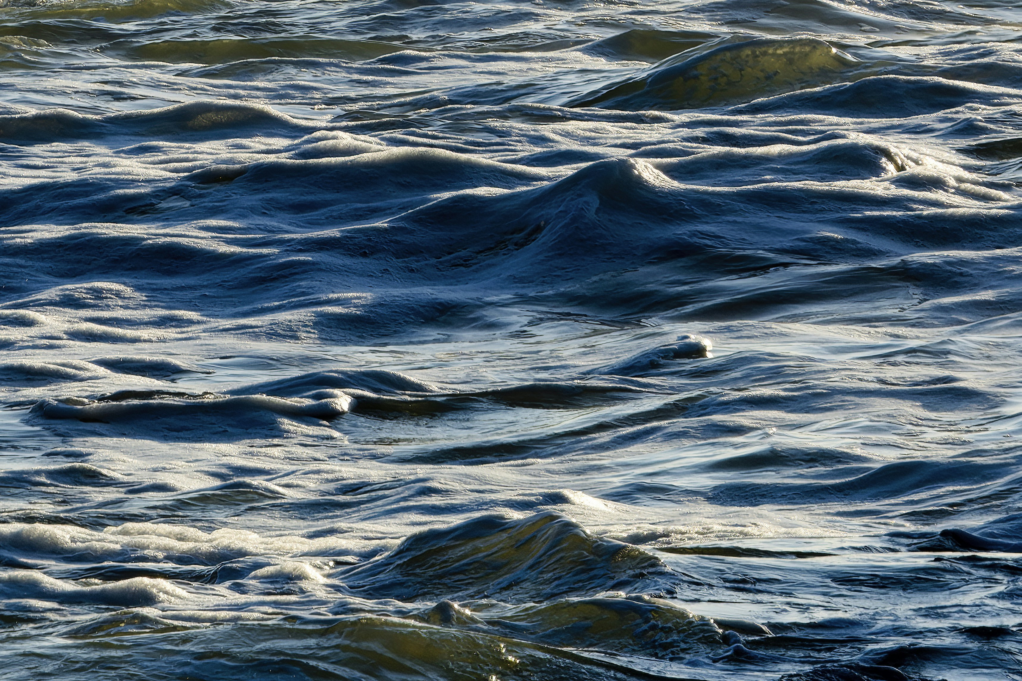 Waves gently lap against the shore during golden hour at a tranquil coastal location - The sun casts a warm glow on the water as gentle waves roll in, creating a serene atmosphere at the beach during the evening hours. | A bird flying over a body of water