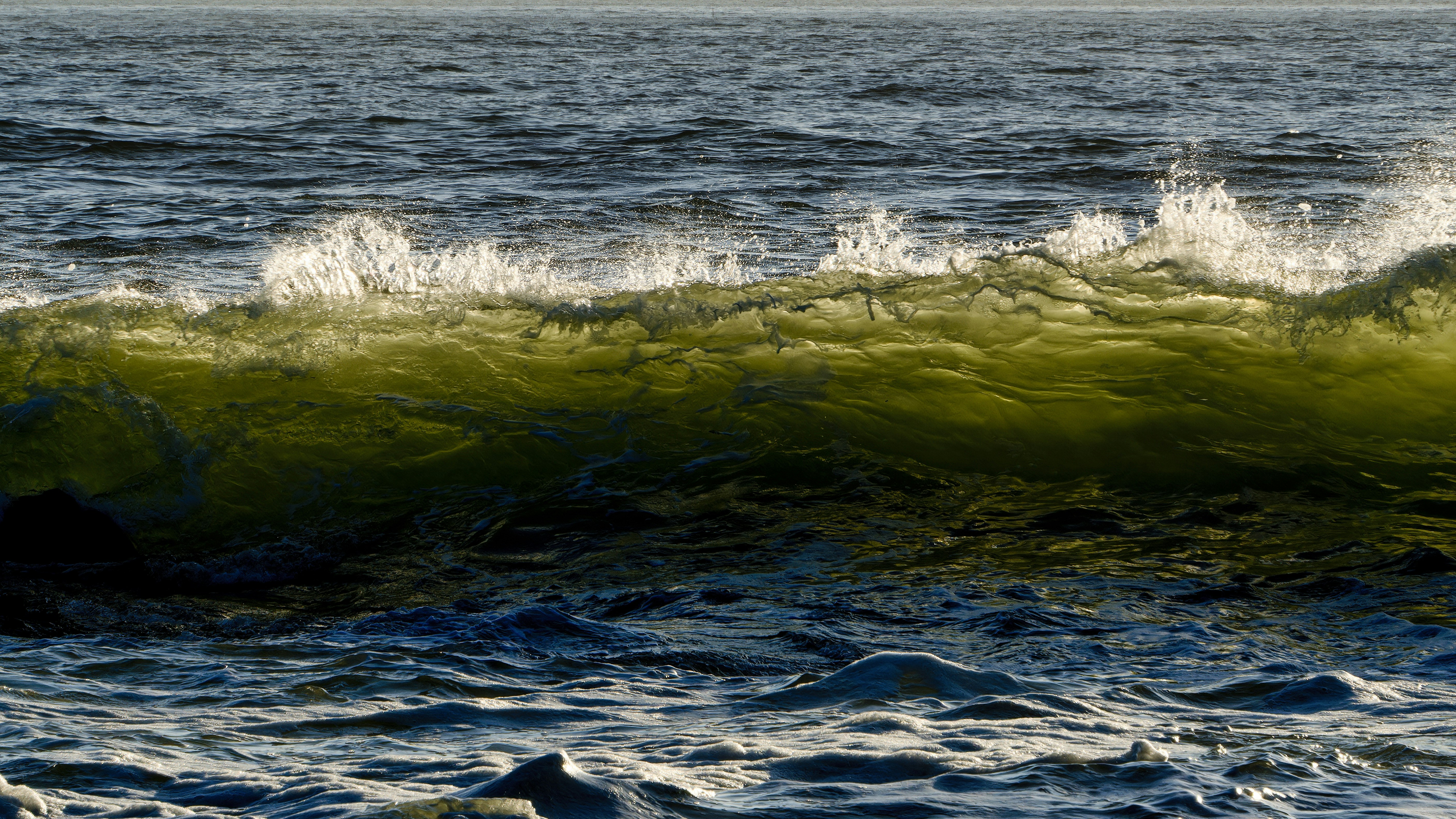 Green Crest: A Moment When Sea Light Meets the Breakers