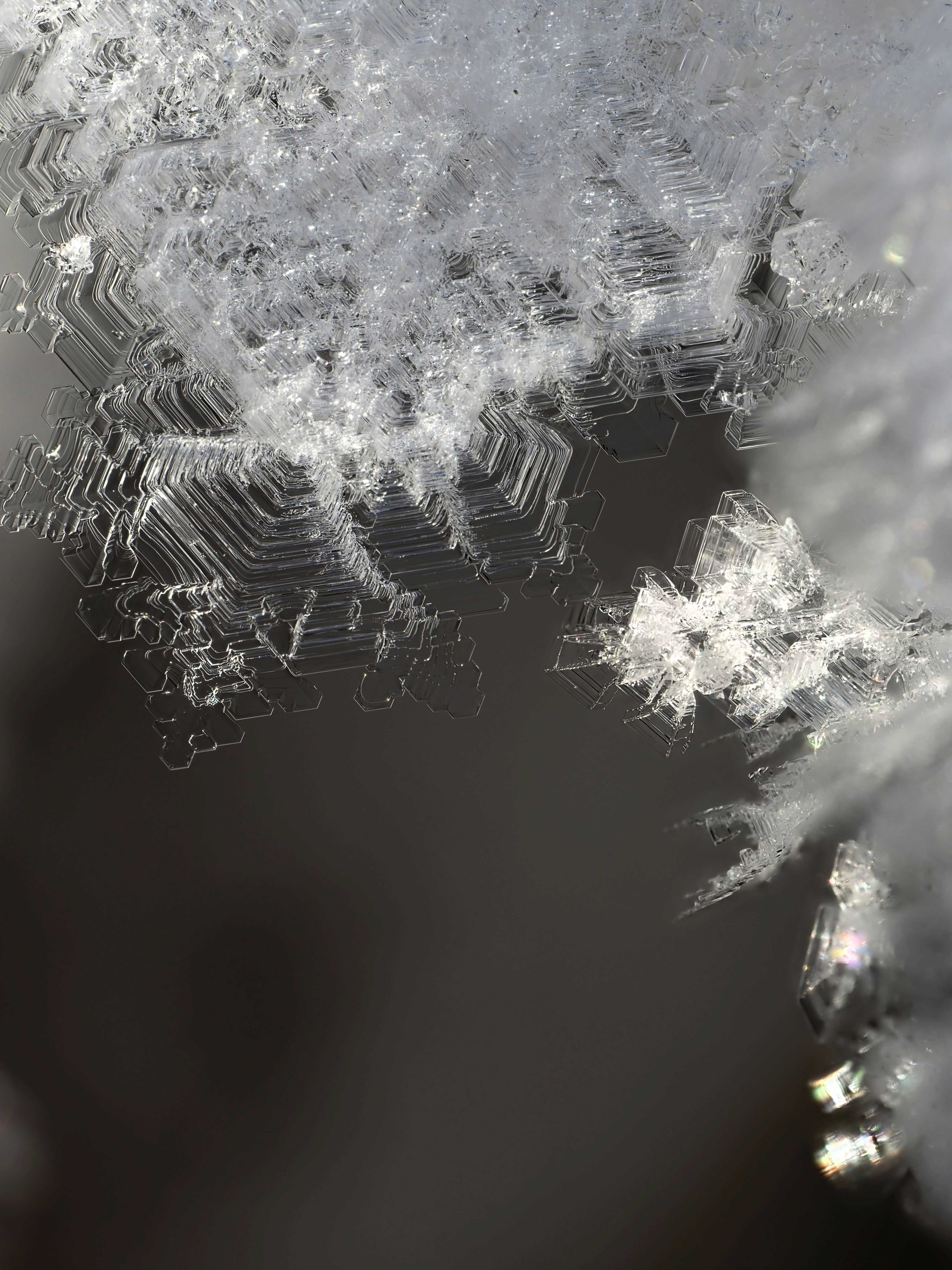 Intricate Geometry of Winter's Breath