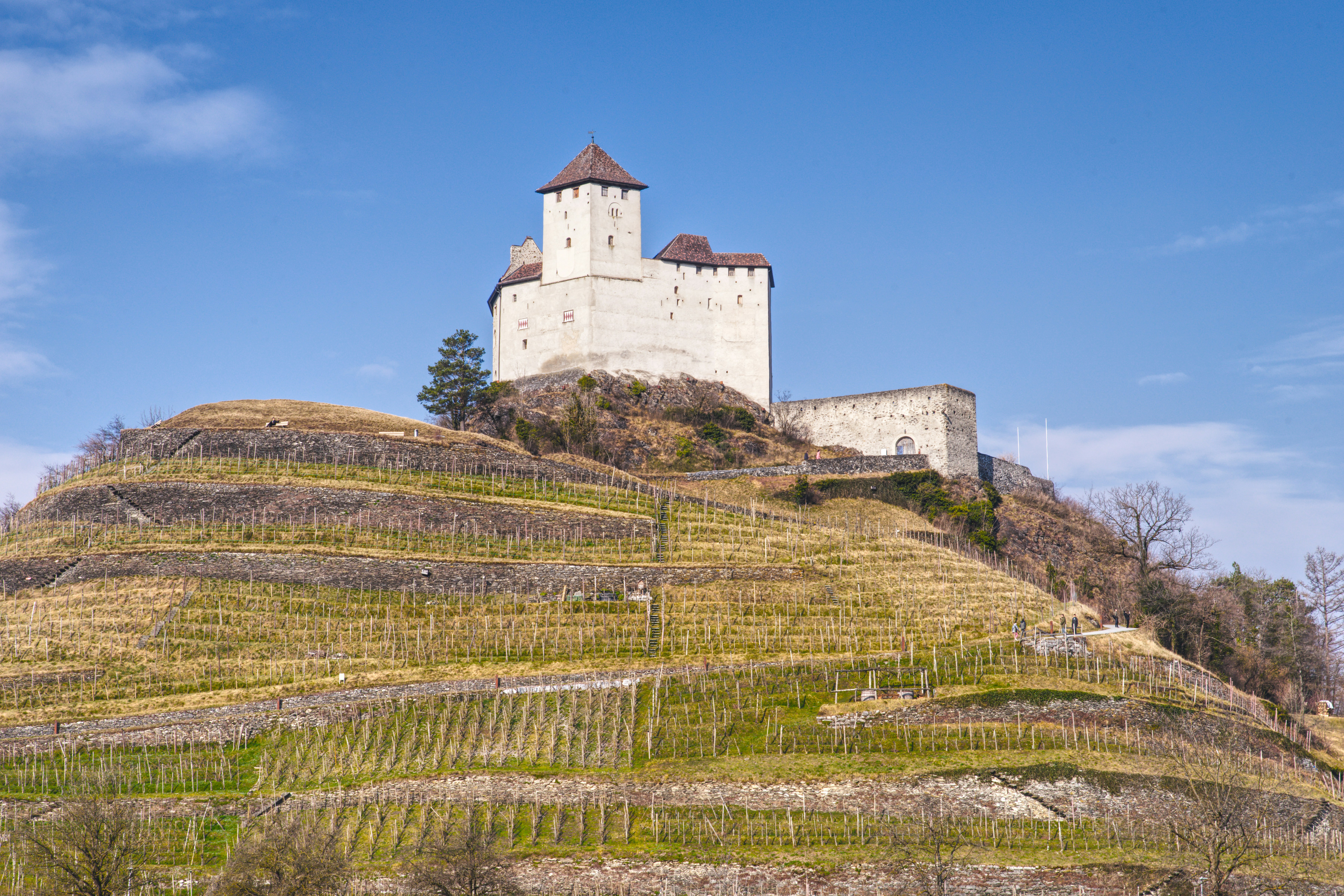 Fortress on a Vineyard Hill