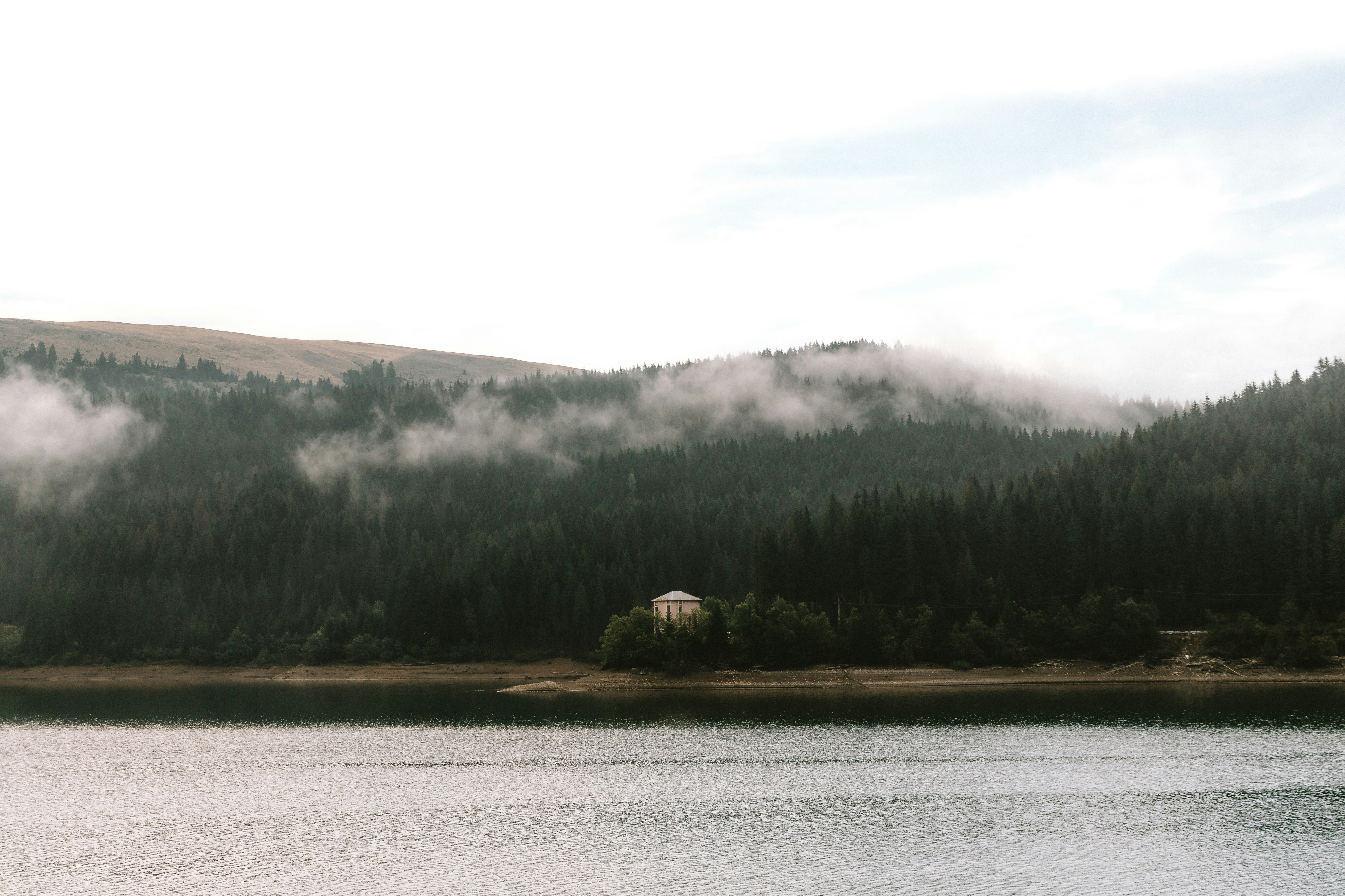 Whispering Mists Over Woodland Retreat