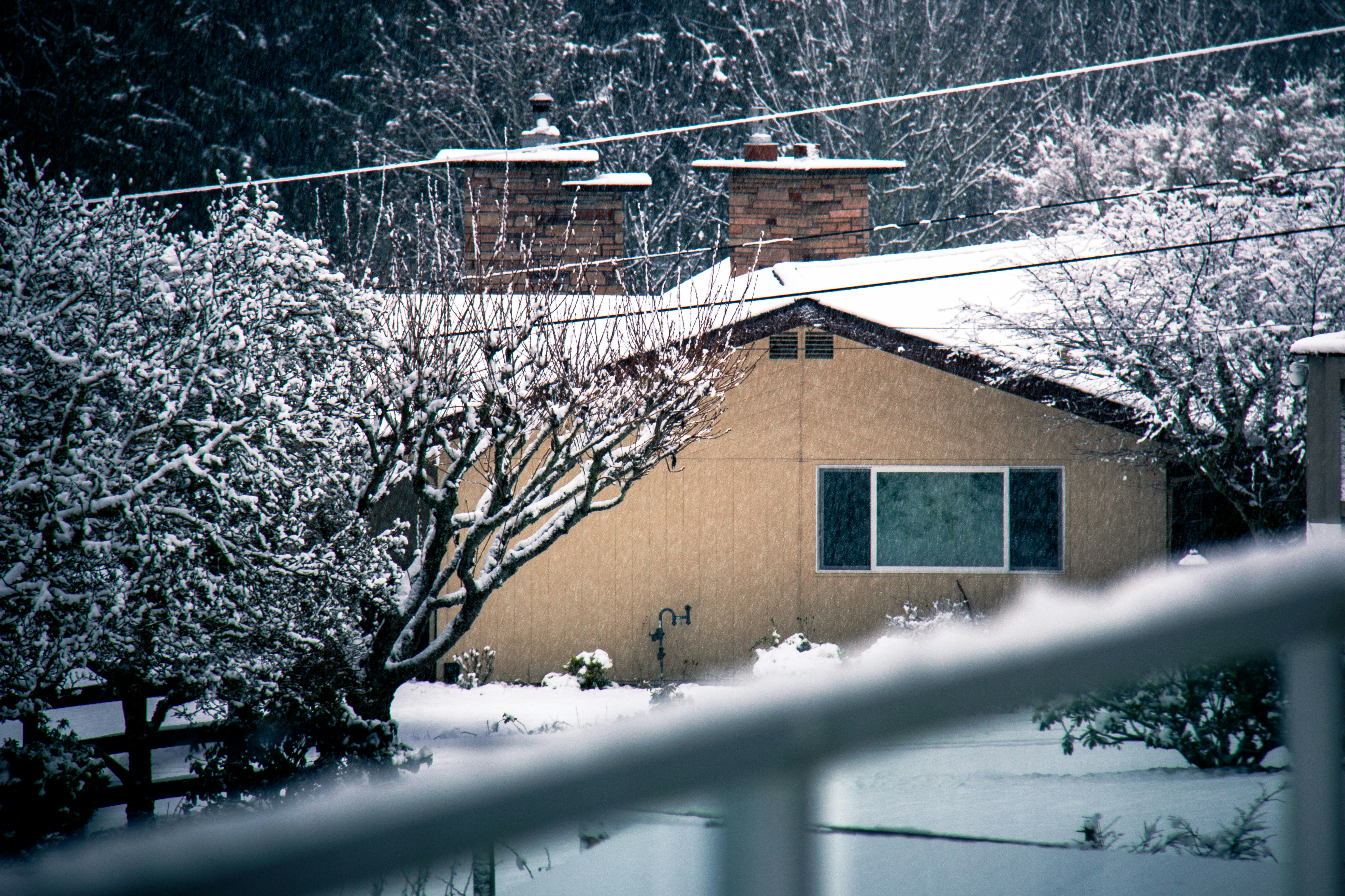 Photo by Silas Lundquist with Canon EOS 70D